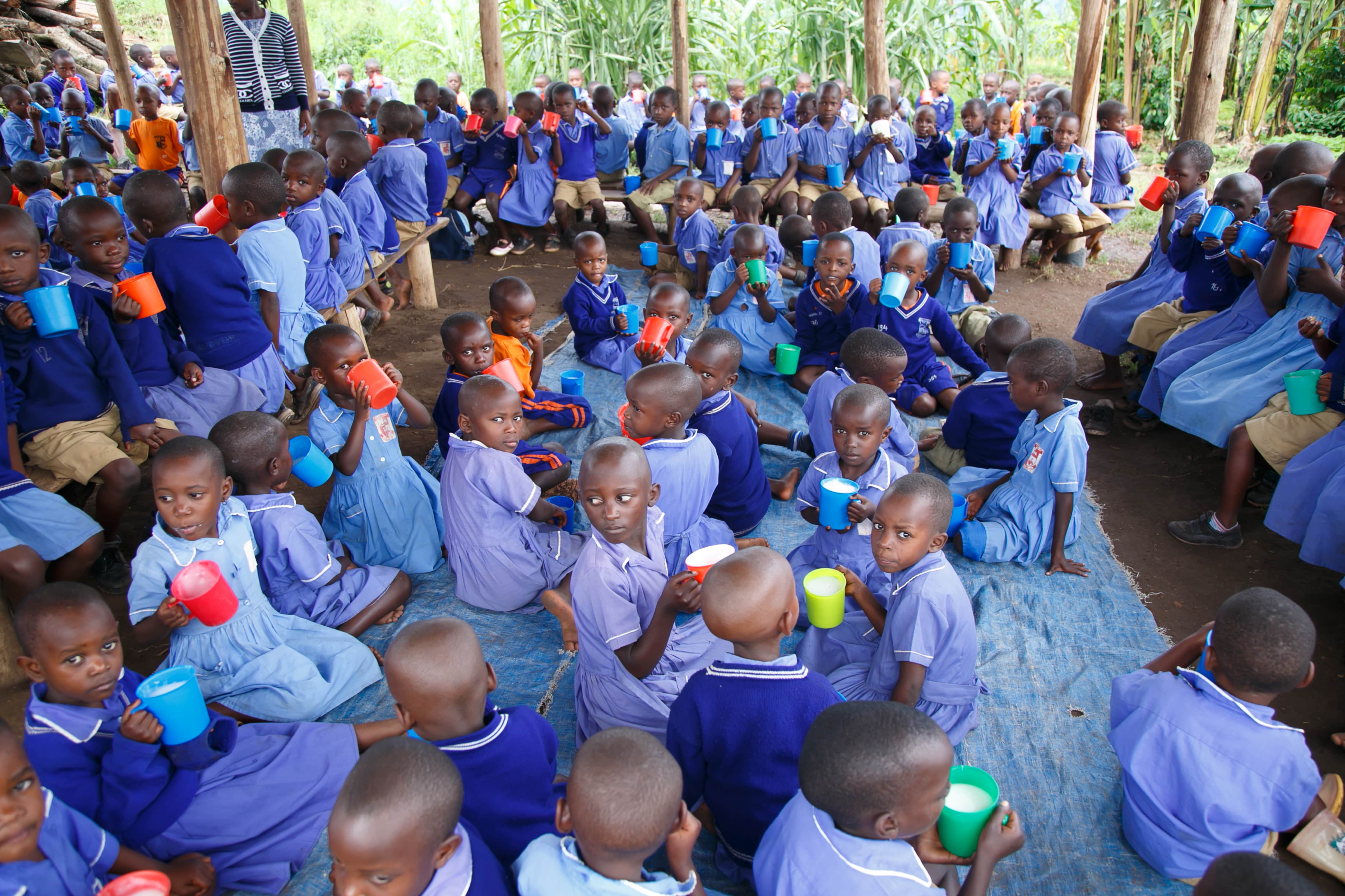 SNV supported programme provides 200,000 children with school milk | SNV