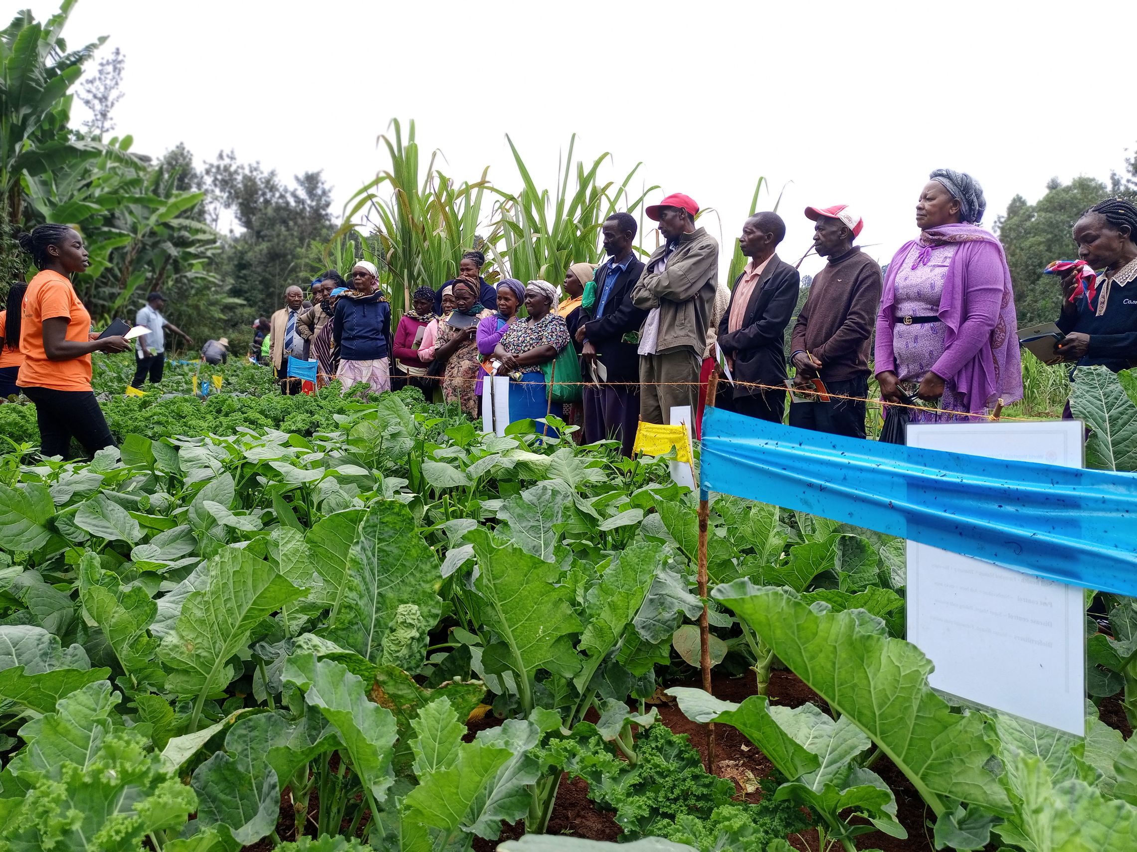 The collective power we need to achieve a gender-inclusive world | SNV