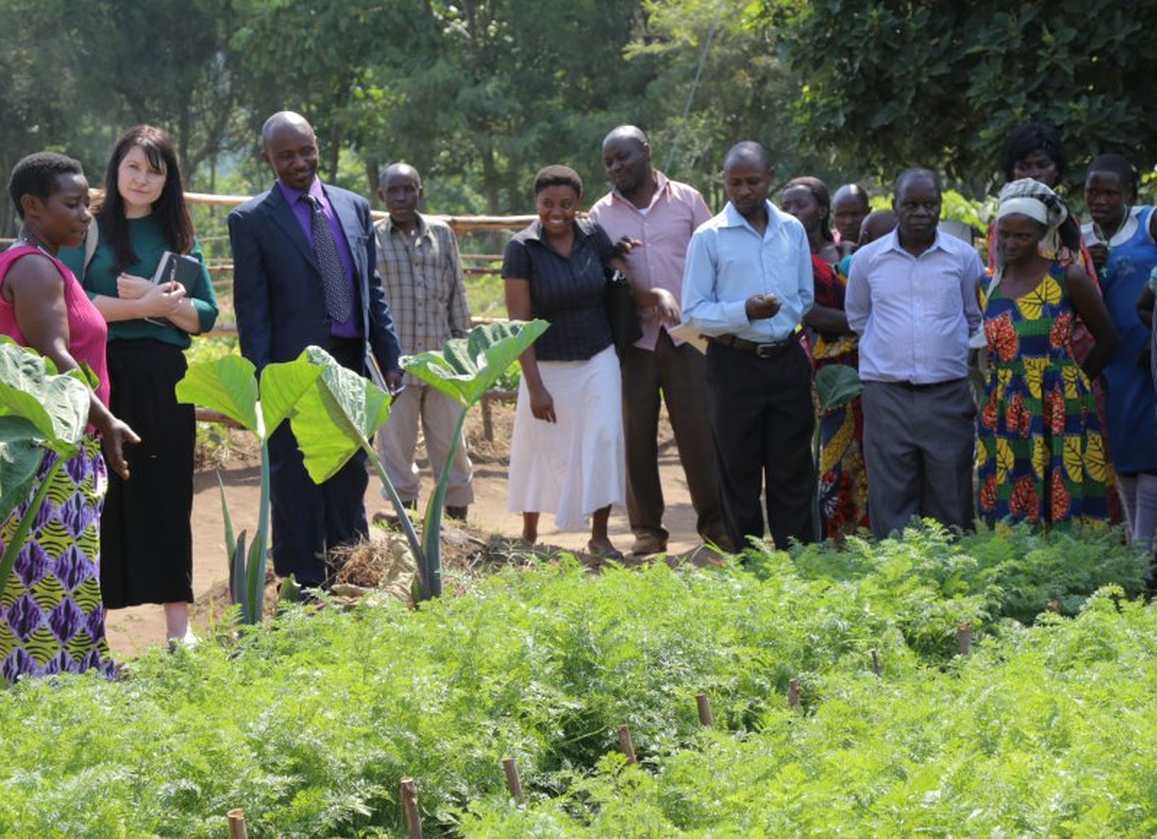 SNV Nutrition project pilot school becomes a functional Nutrition hub | SNV