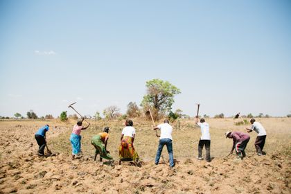 Empowerment of Women Farmers in the Rice Value Chain | SNV