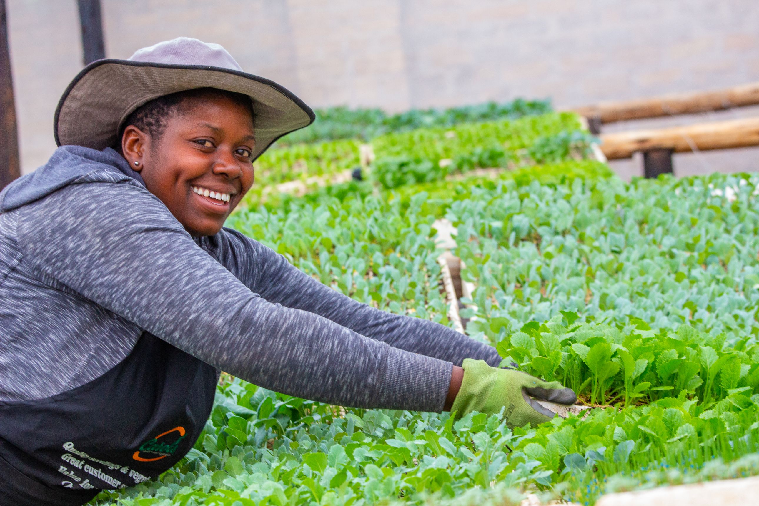 OYE in Zimbabwe | SNV