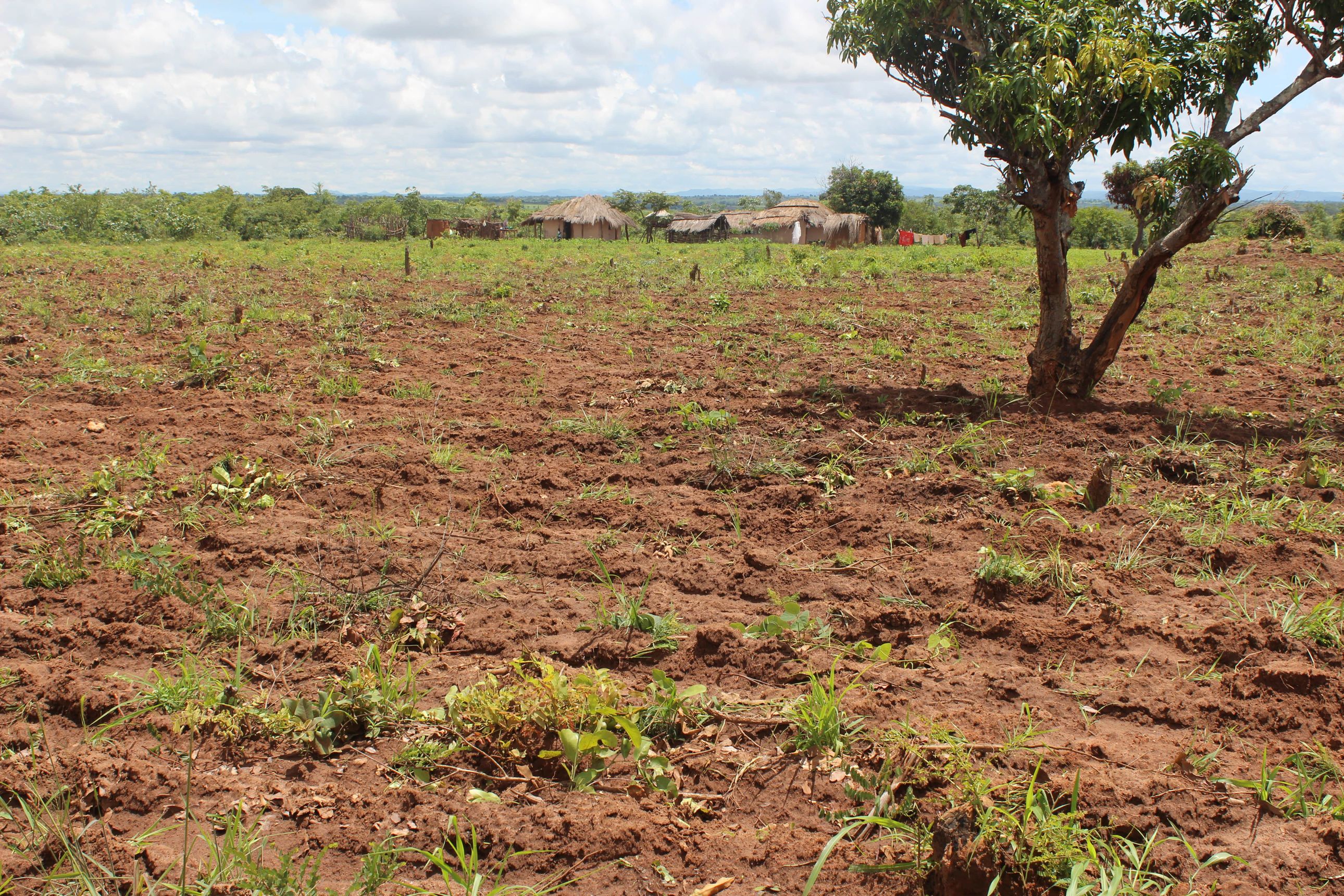 Sustainable Integrated Land Management Solutions (SILMS) | SNV