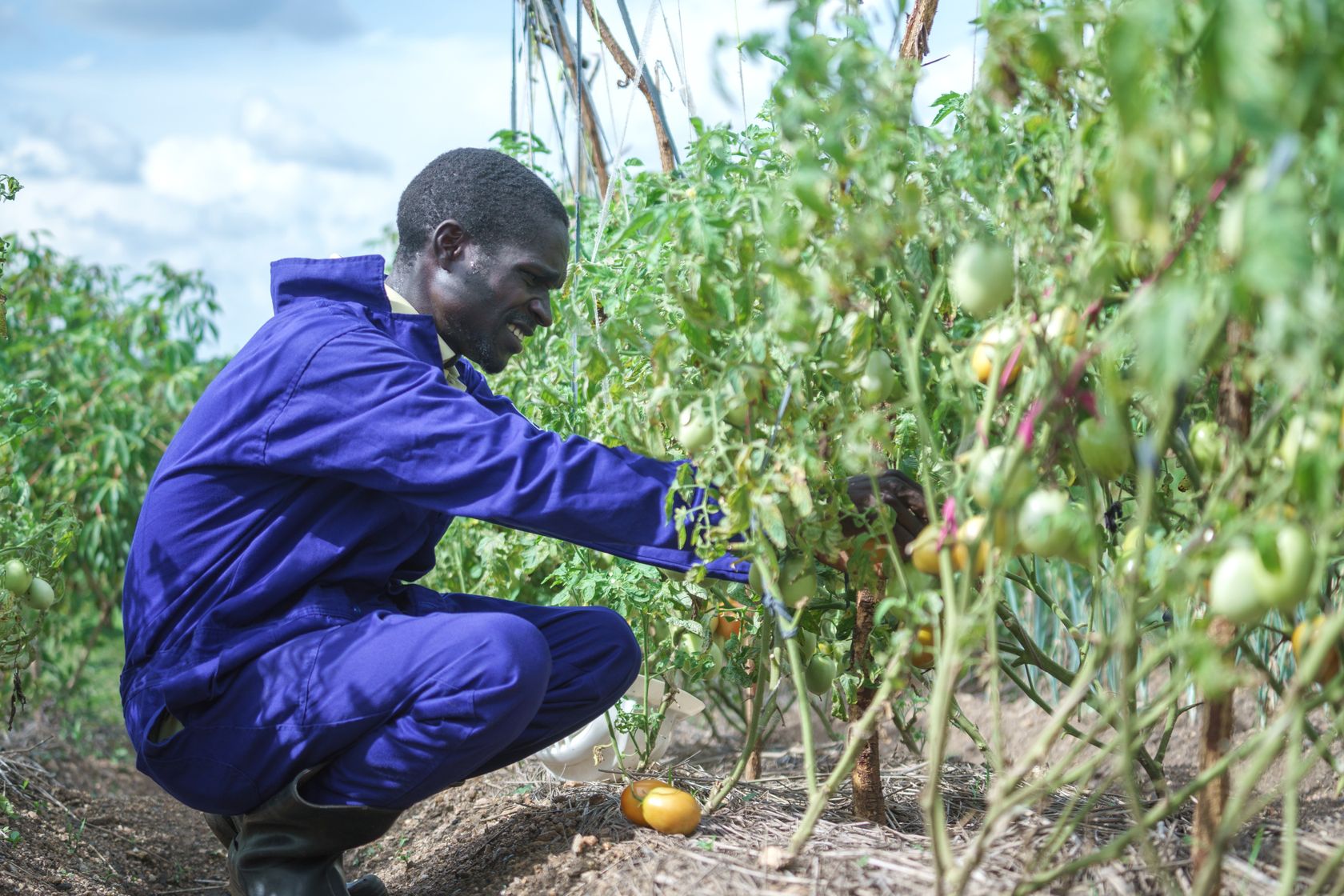 ABC newsletter Q3and4 2023 | SNV