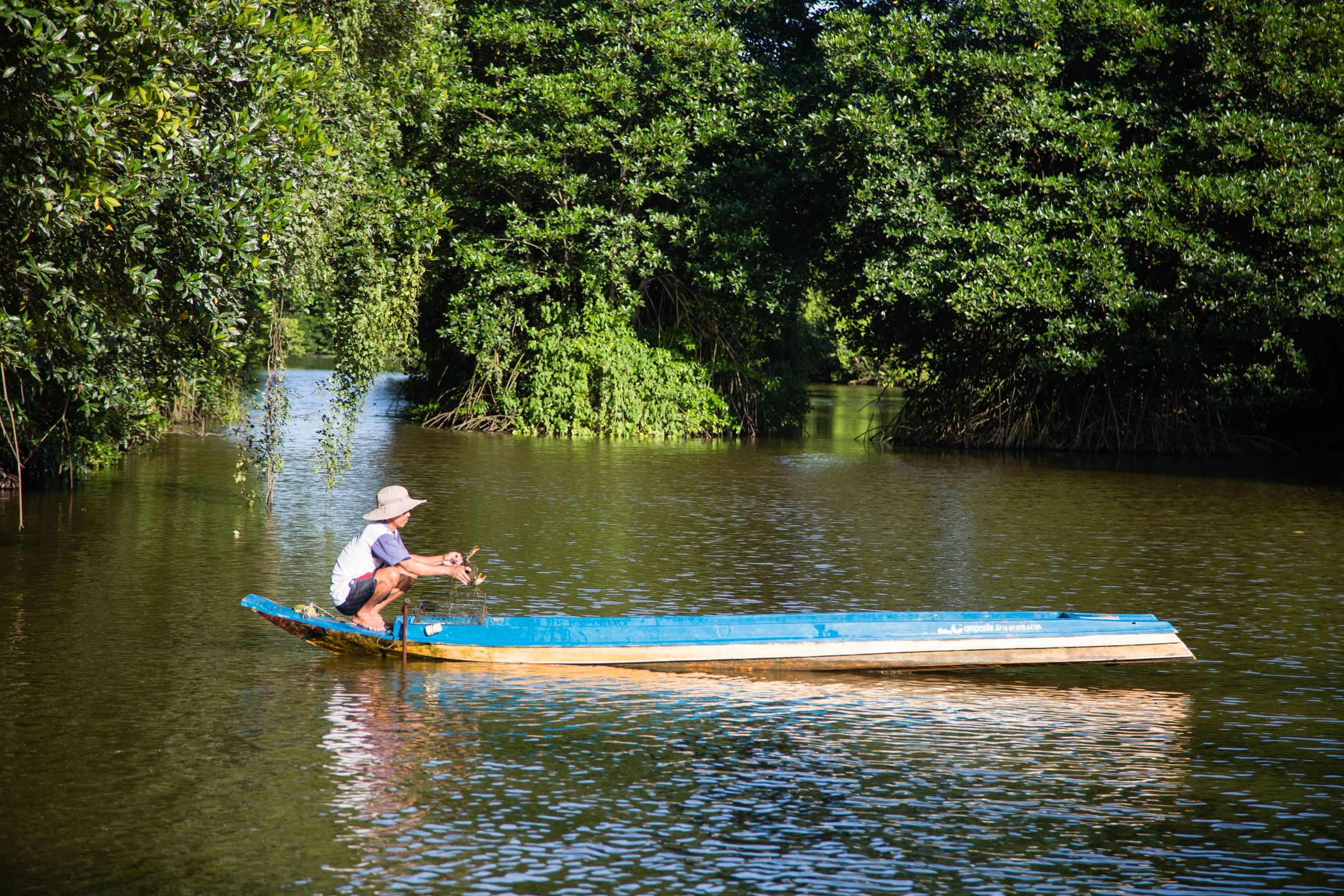 Camimex’s sustainable shrimp farming journey | SNV