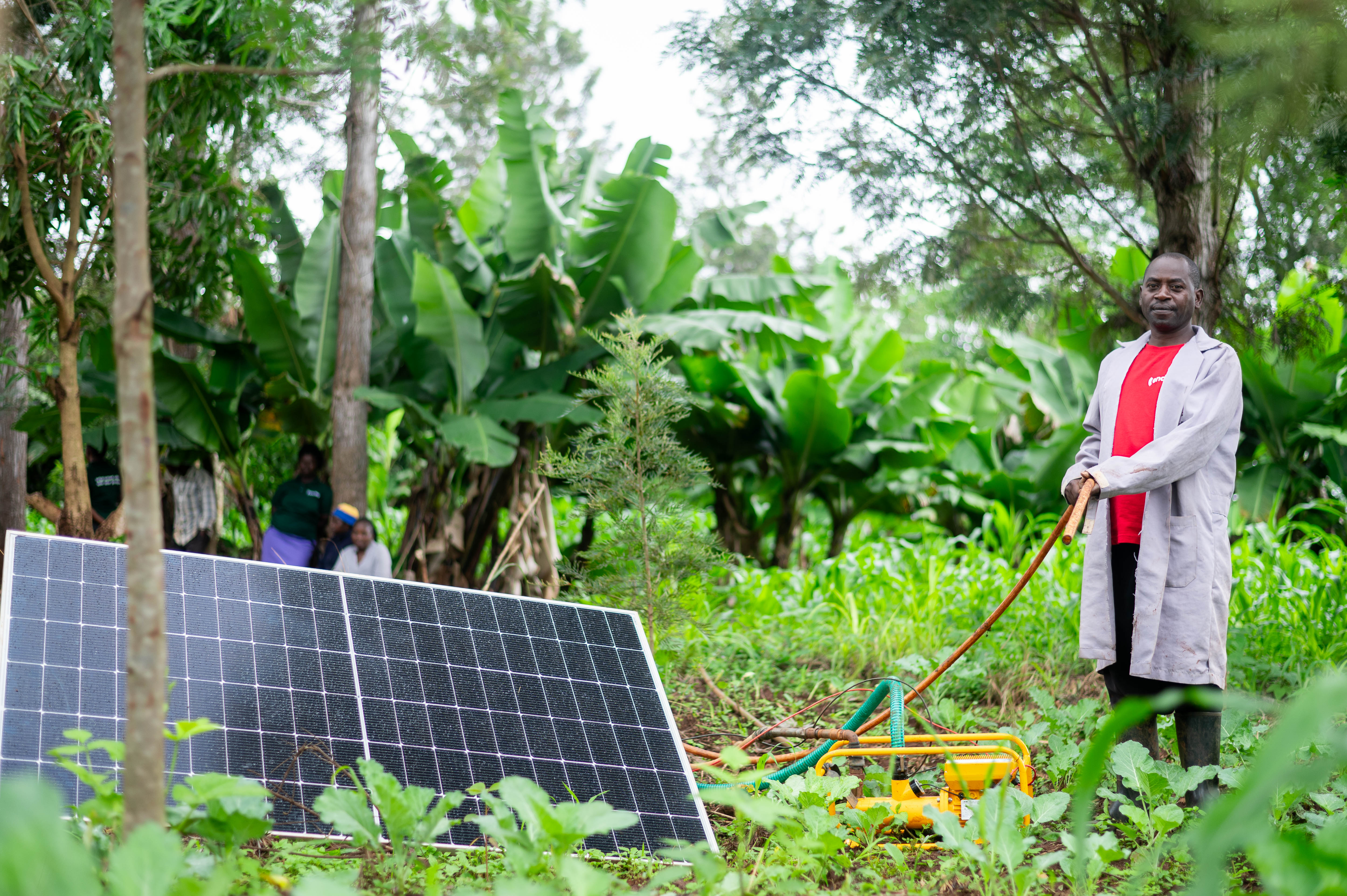 Five reasons to connect the dots between agriculture and energy | SNV