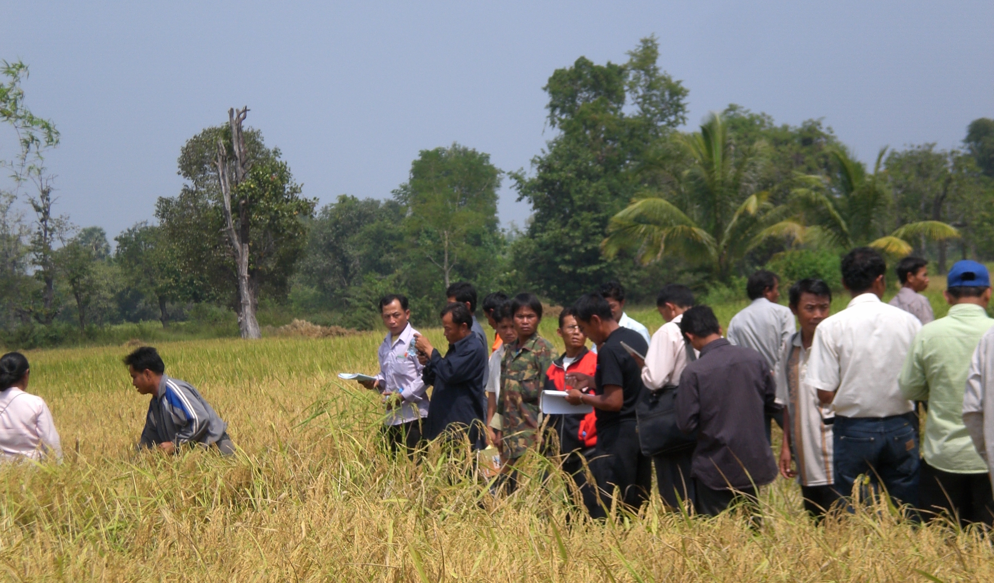 SNV shares successes of BIIE project with stakeholders | SNV