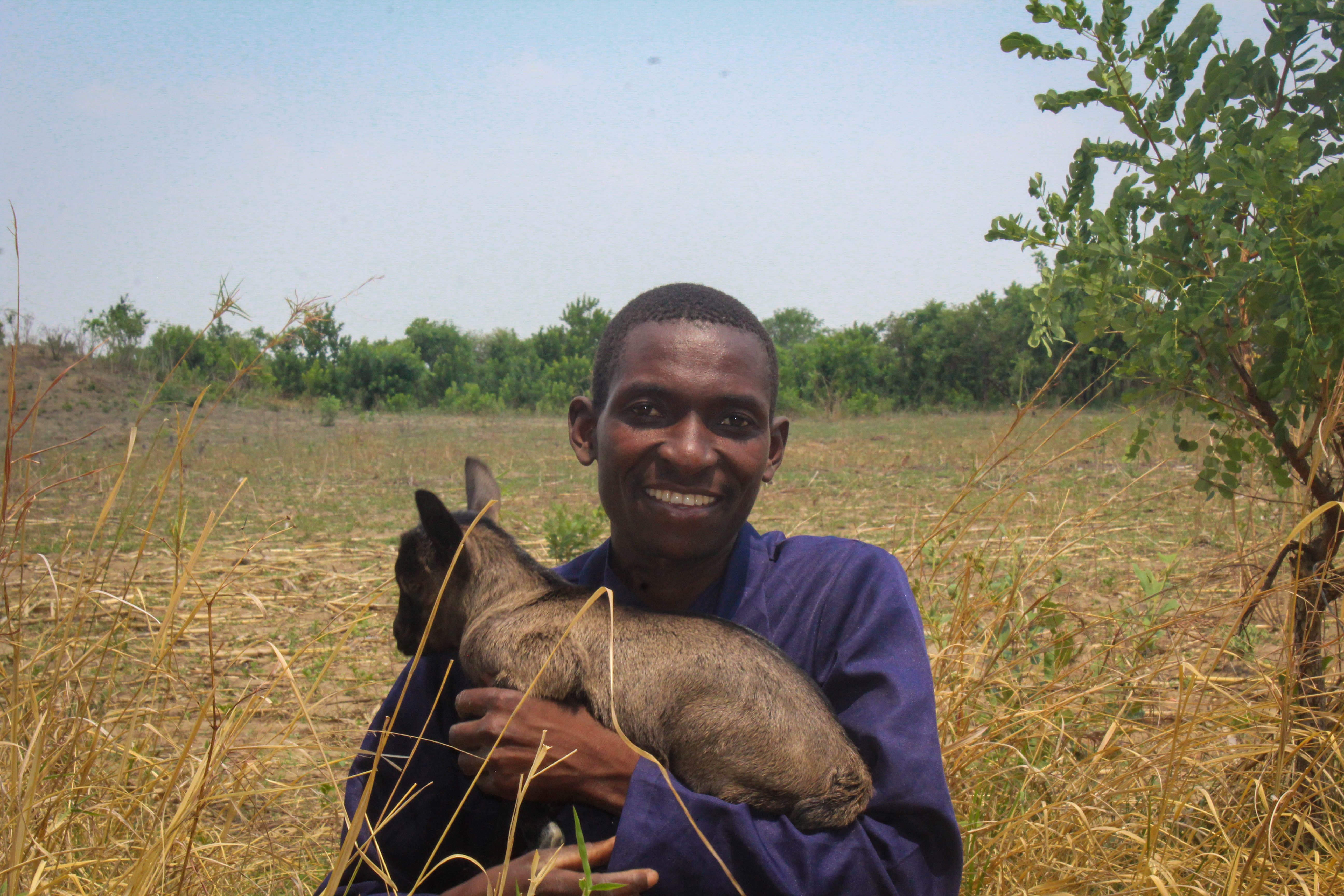 From maize to animal farming | SNV
