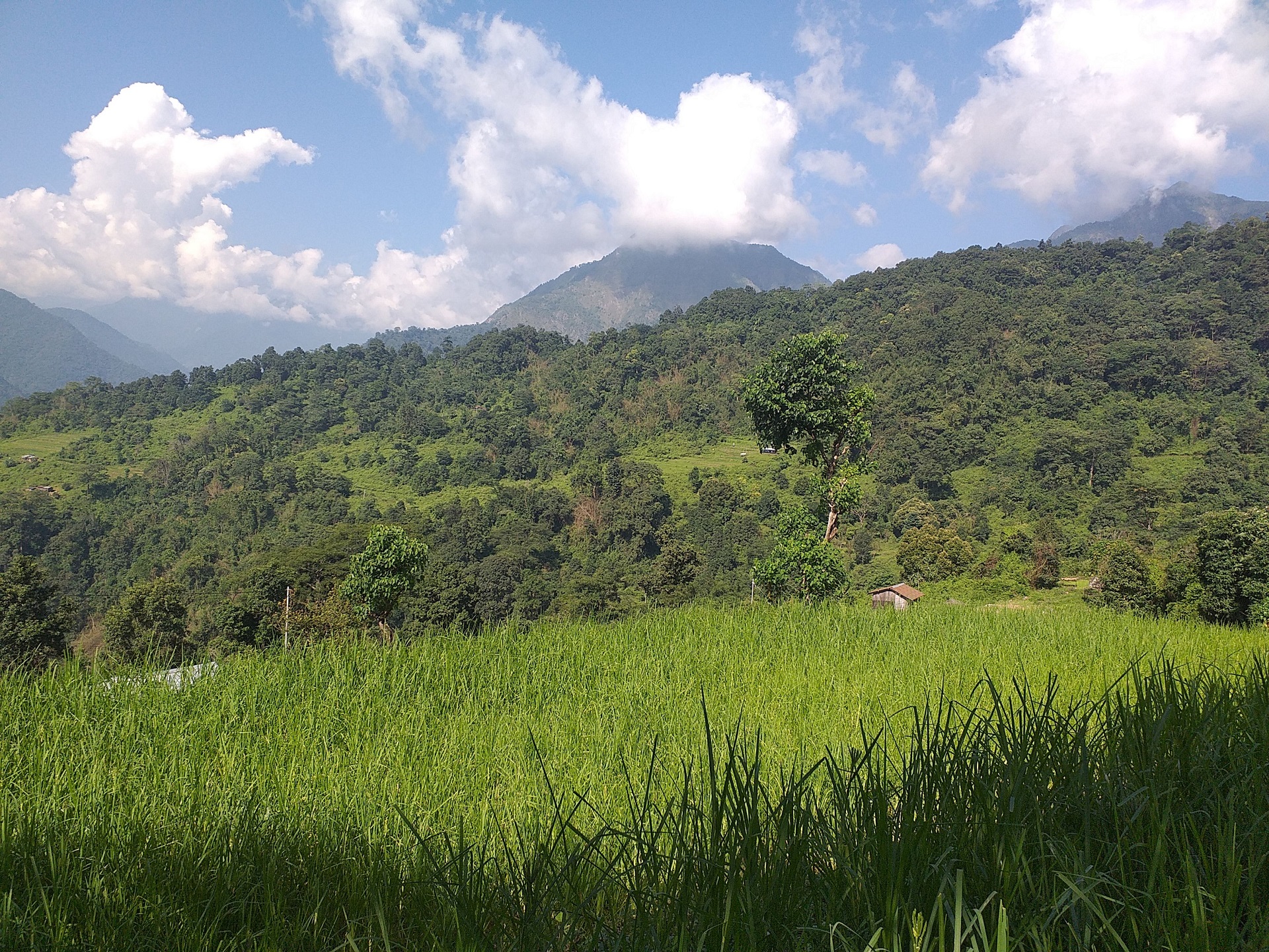 Pabjee: Proof that change, no matter the distance and age, is possible ...