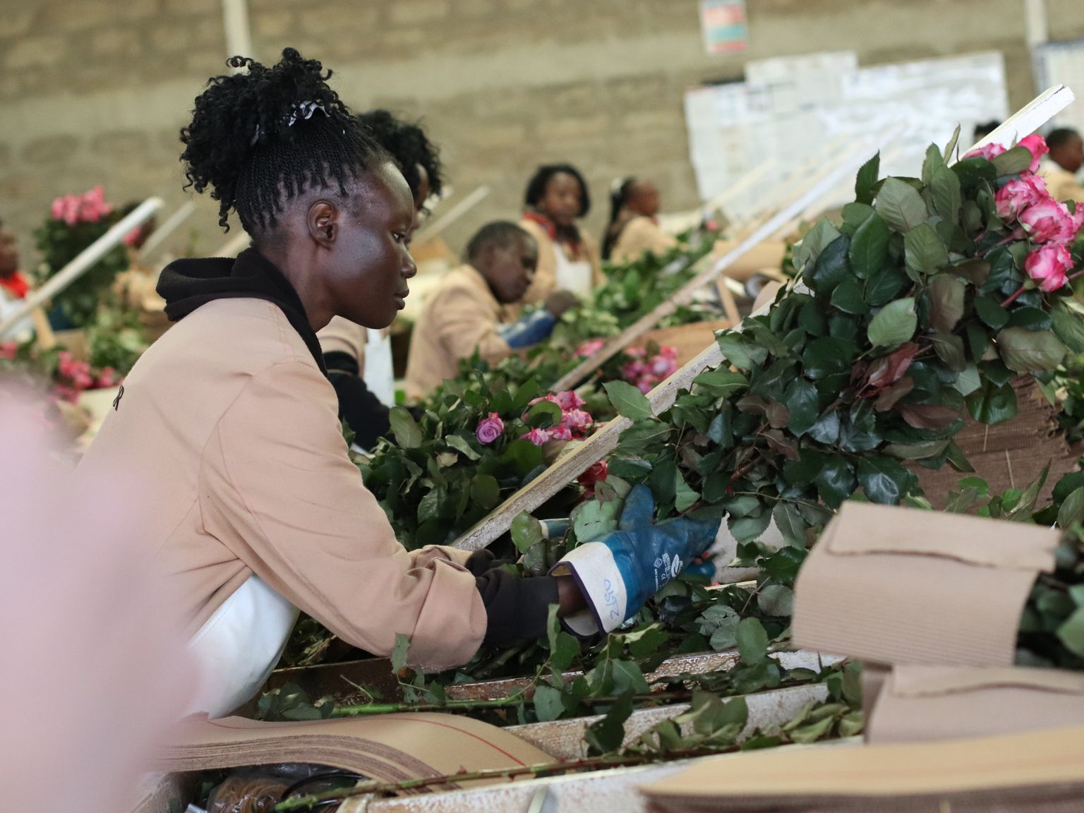 Kenyan user group develops flourishing water resource management system ...