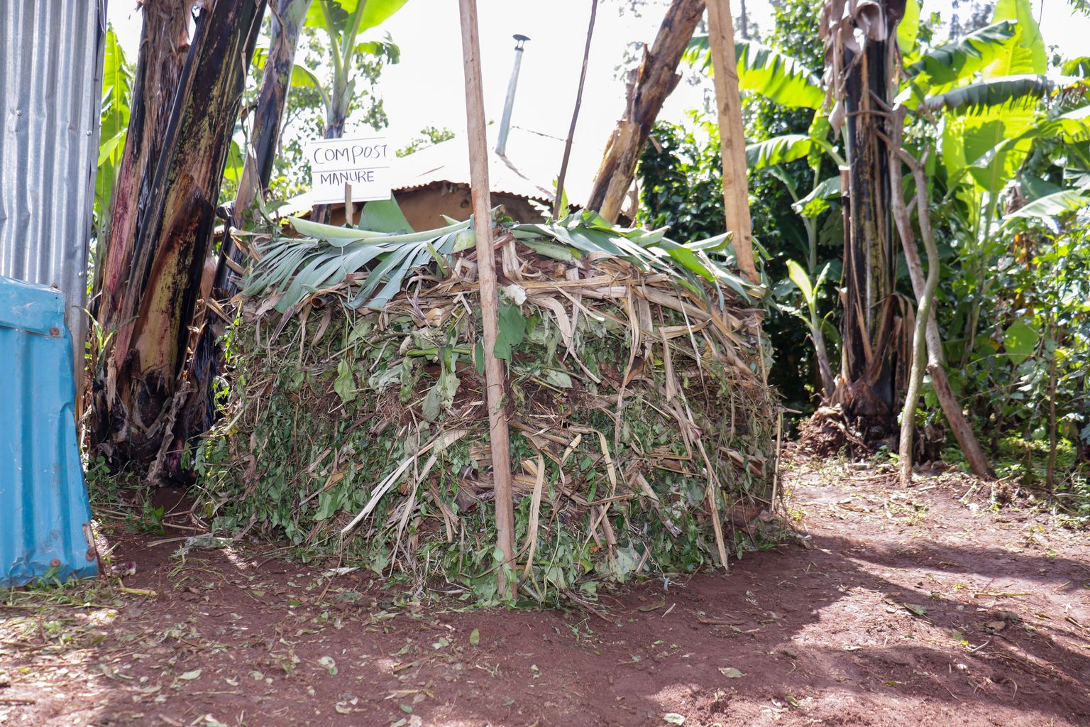 Regenerative farming in East Africa: from soil health to economic ...