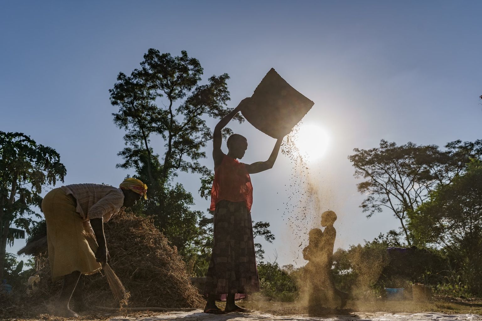 Delivering impact that matters: our 2022 Annual Report | SNV