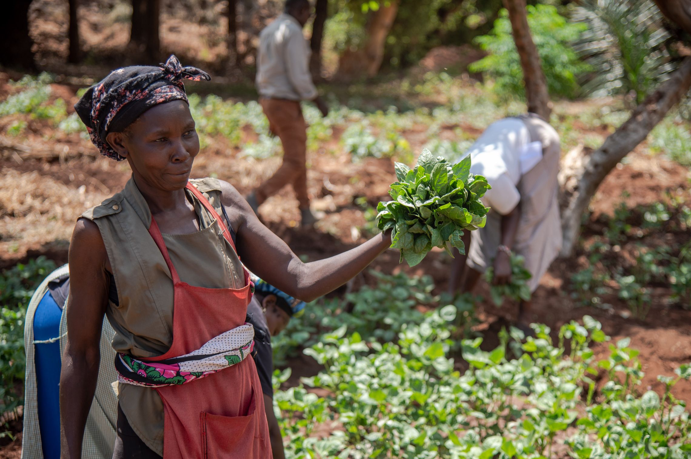 Shaping resilience: the role of Kenyan women in countering climate ...