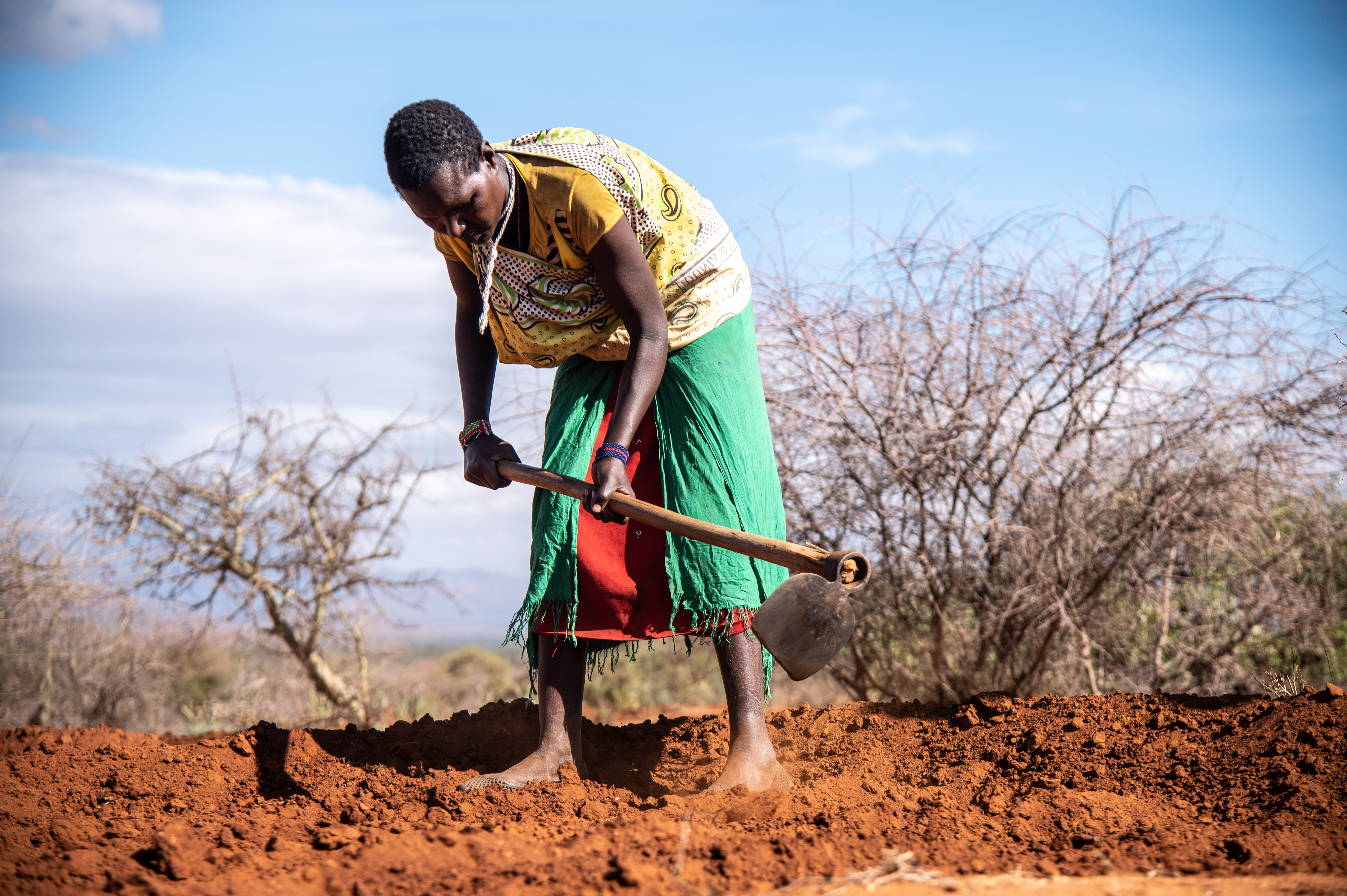 Kenya country factsheet | SNV