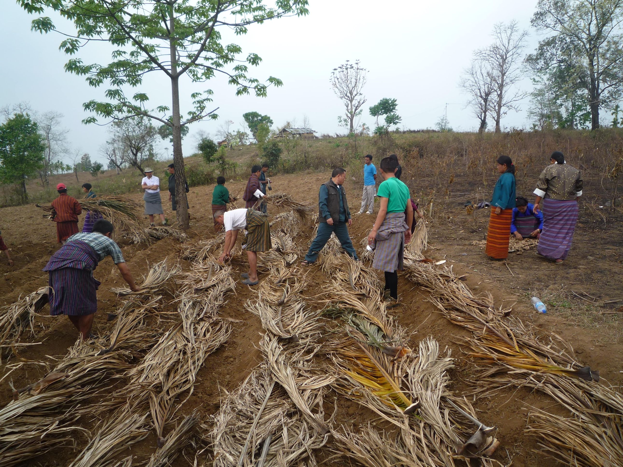 Climate Smart Agriculture - Bhutan | SNV