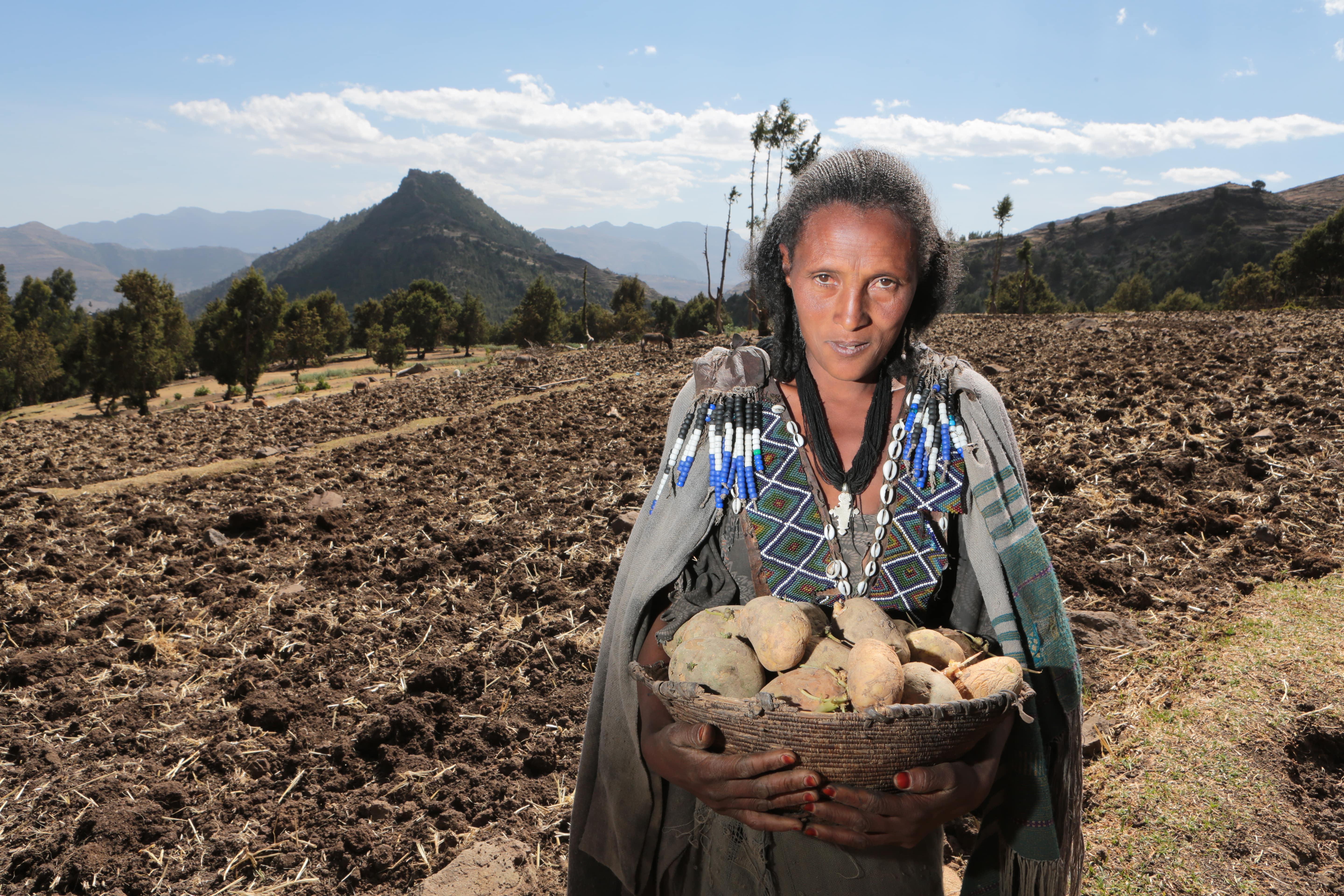 Gender and youth empowerment in horticulture markets (GYEM) | SNV