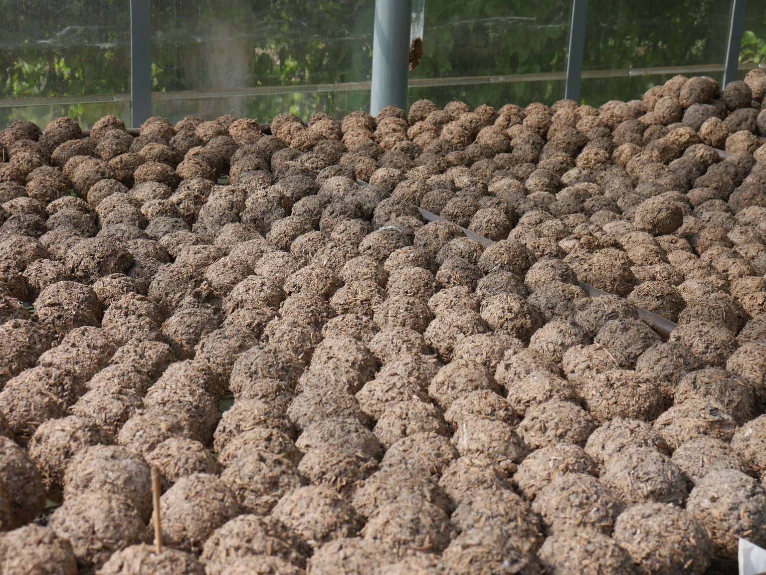 8 July: The exciting world of faecal sludge re-use - exploring turning ...