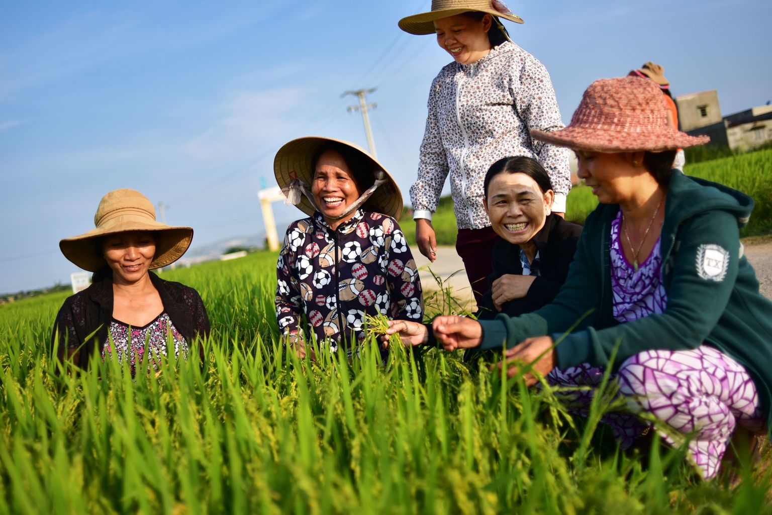 How gender equality can be promoted through climate-smart agriculture | SNV