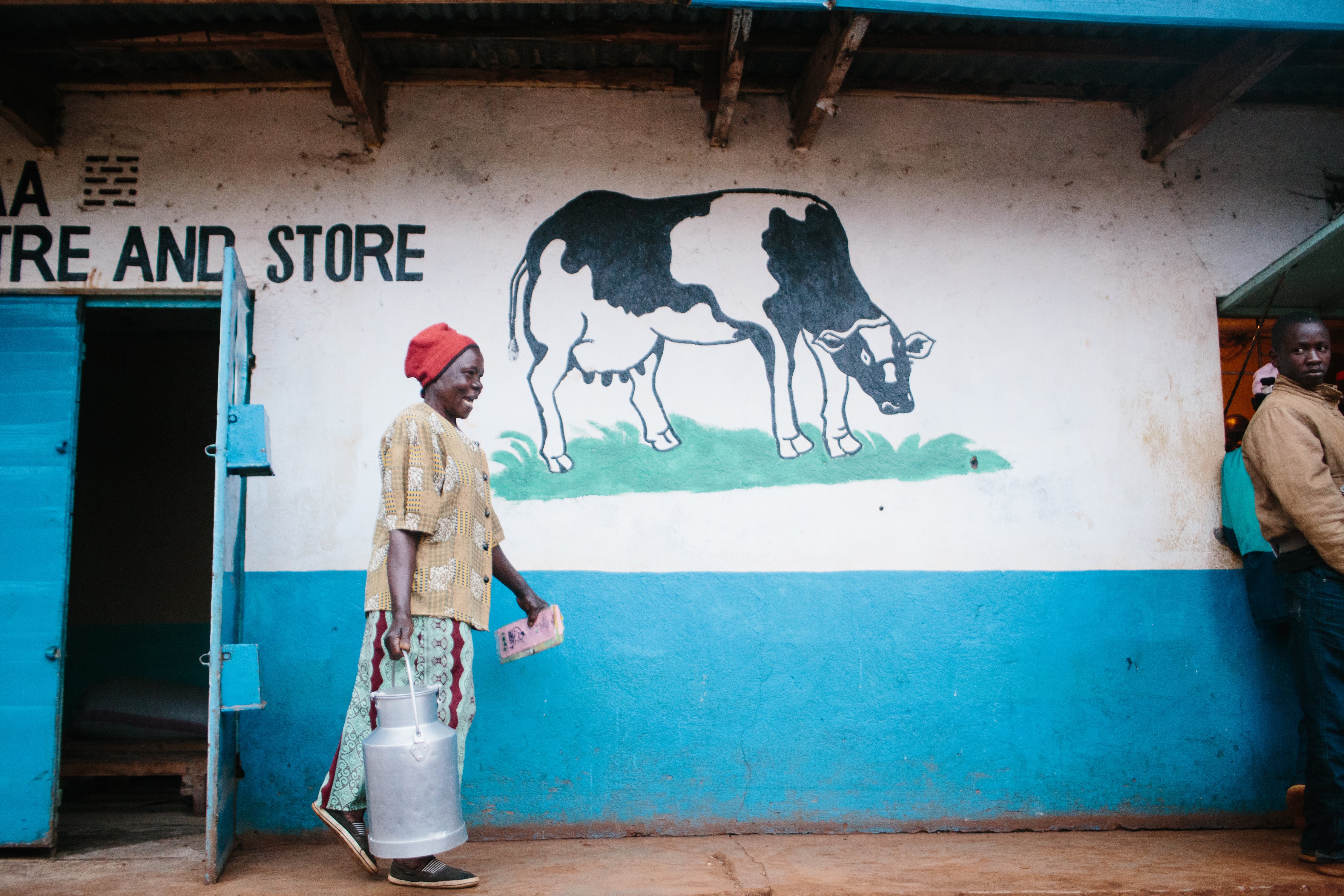 Milking the sun: Improved income for smallholder dairy farmers | SNV