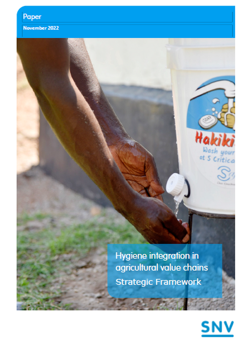 Strategic framework for hygiene integration | SNV