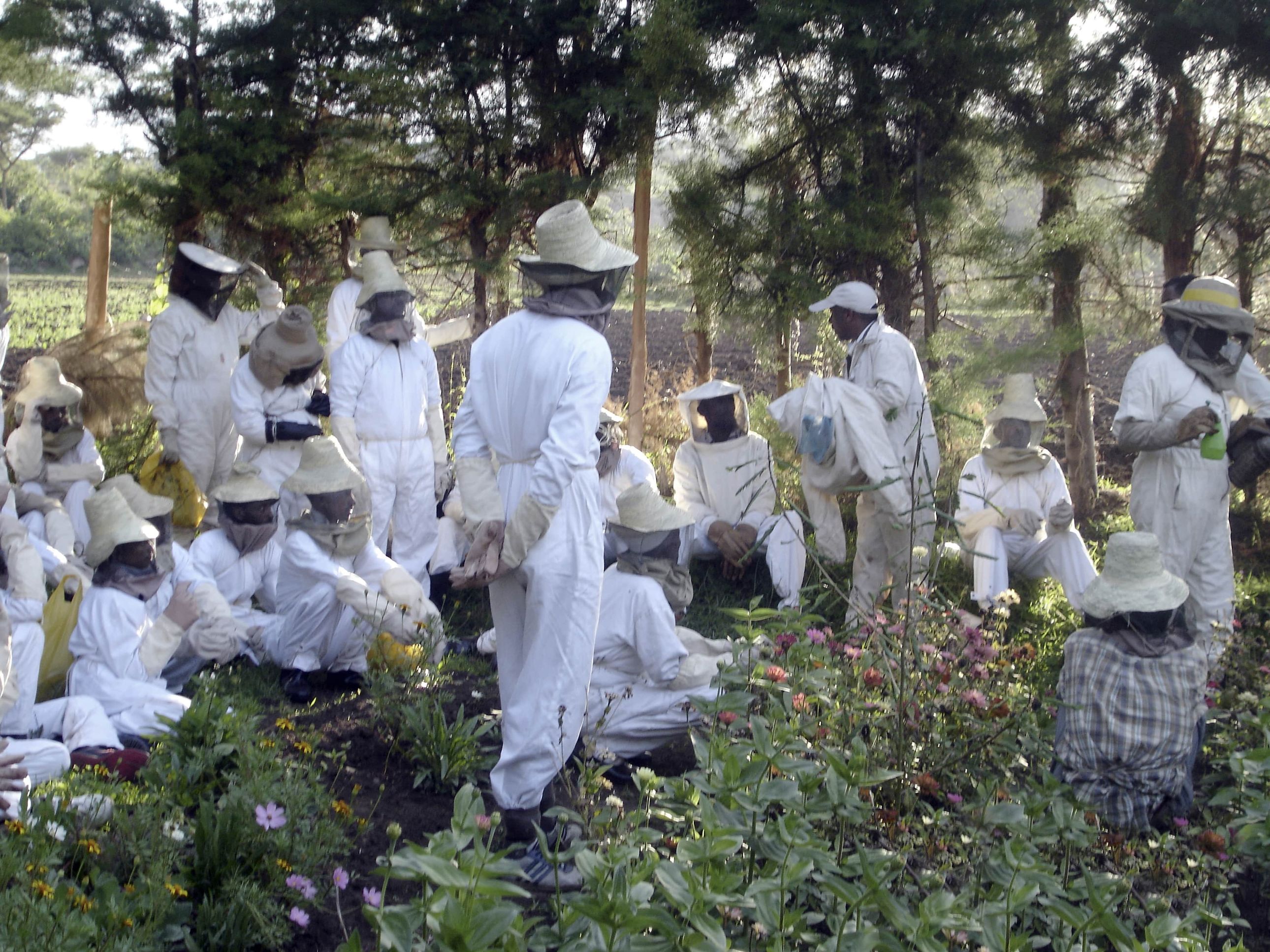 Apiculture Scale-up Programme for Income and Rural Employment | SNV
