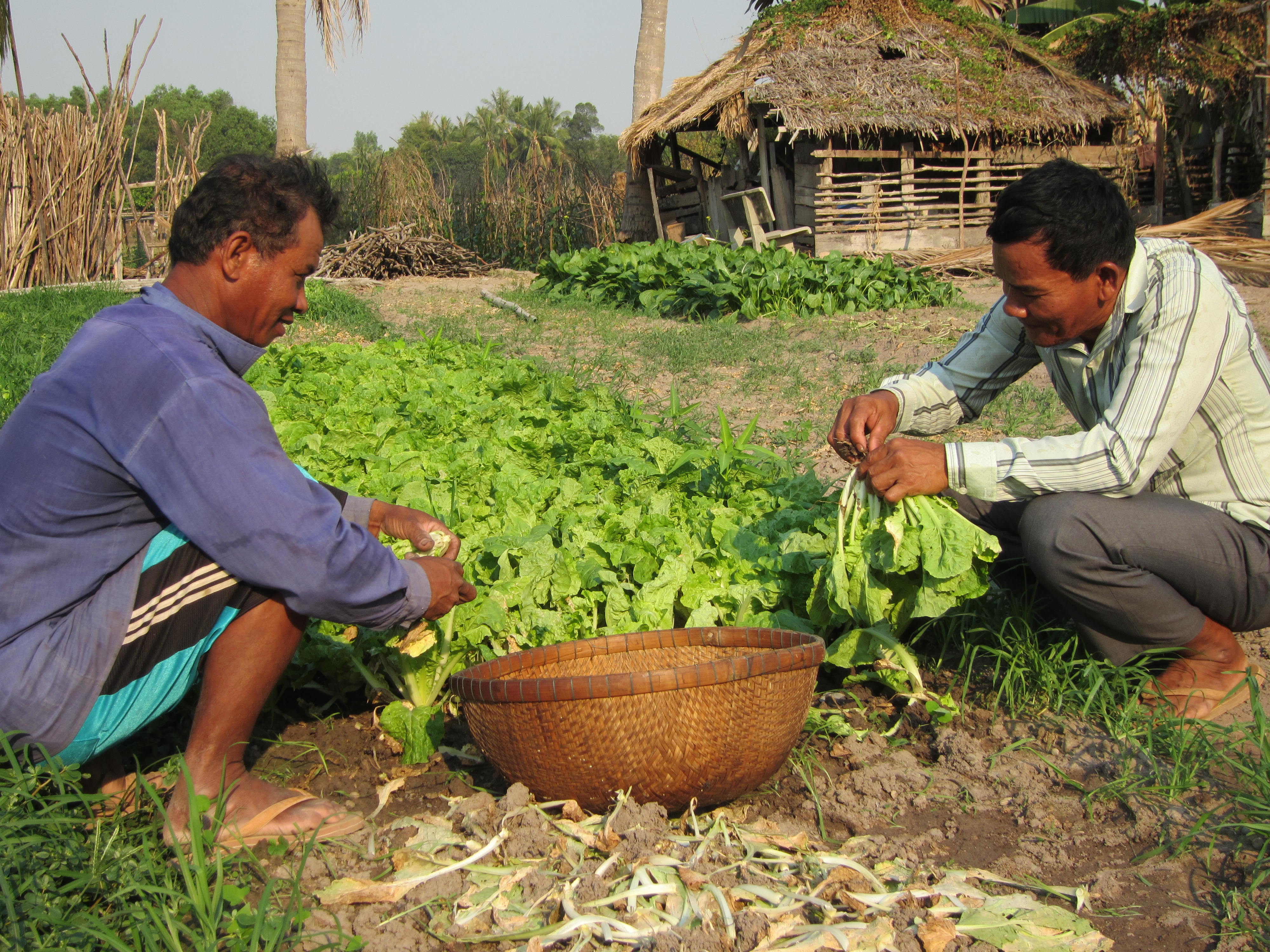 Press Release: CHAIN project agreement signed | SNV