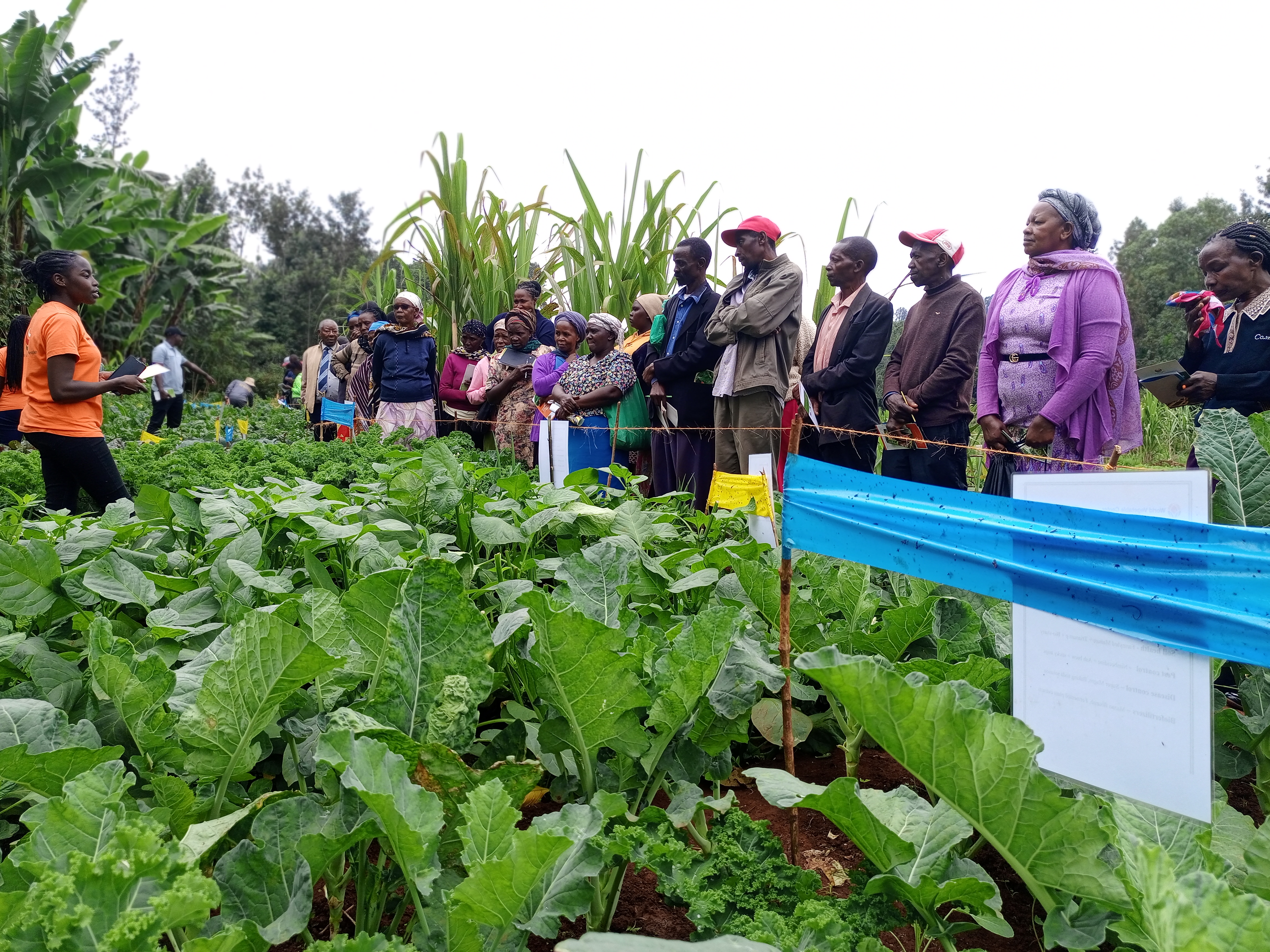 The agroecological conversation in Kenya | SNV