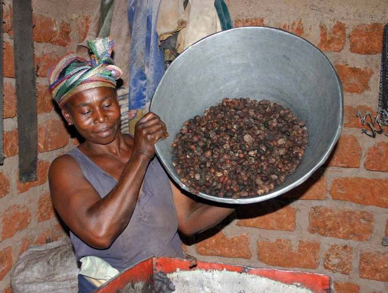 Shea nut quality campaign project | SNV