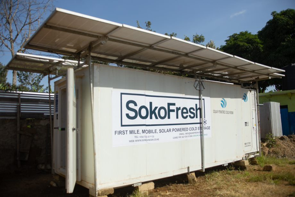 SokoFresh boosts the banana value chain in Meru County. | SNV