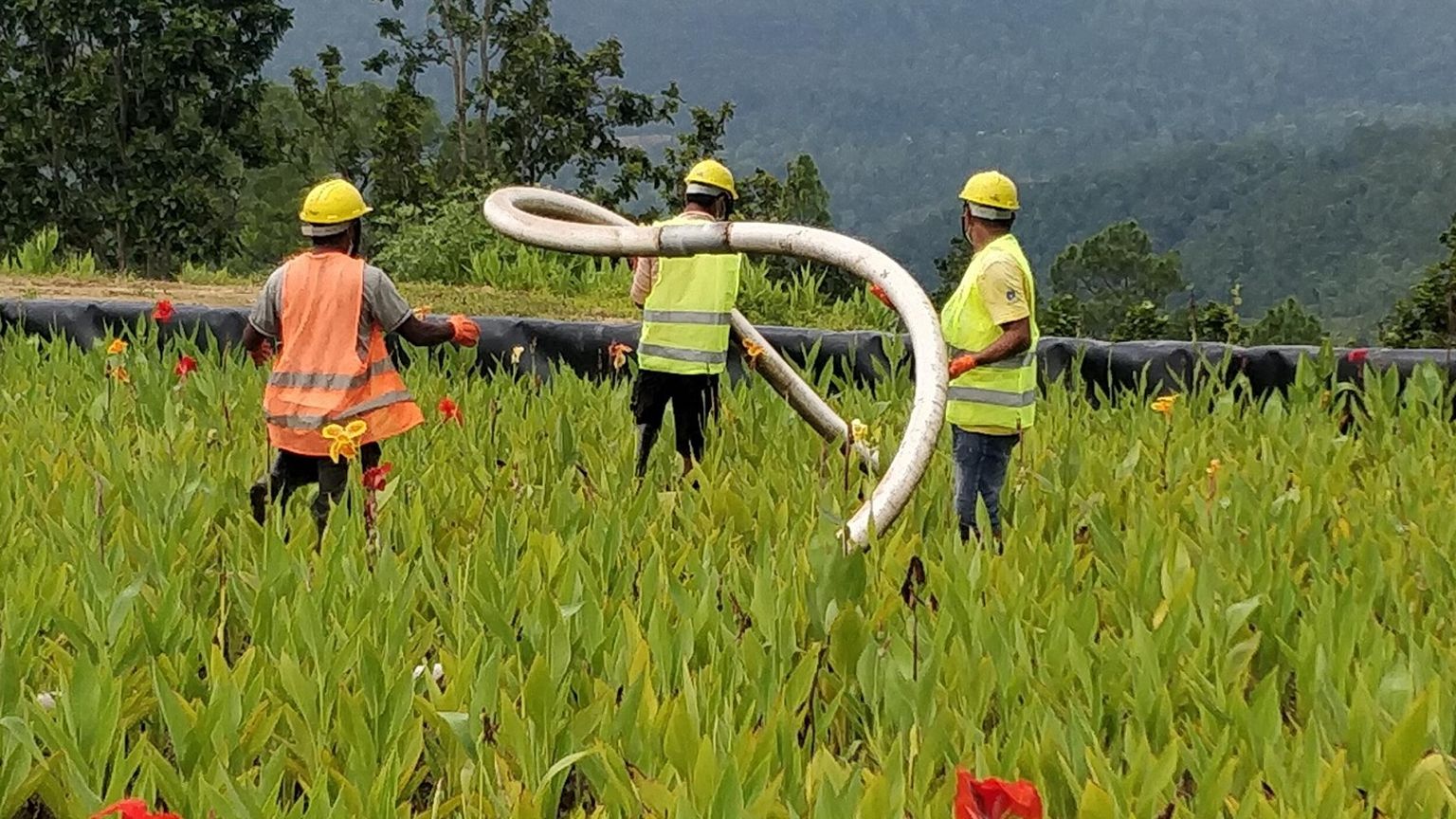 Fifth FSTP in Nepal rises in Birendranagar municipality | SNV