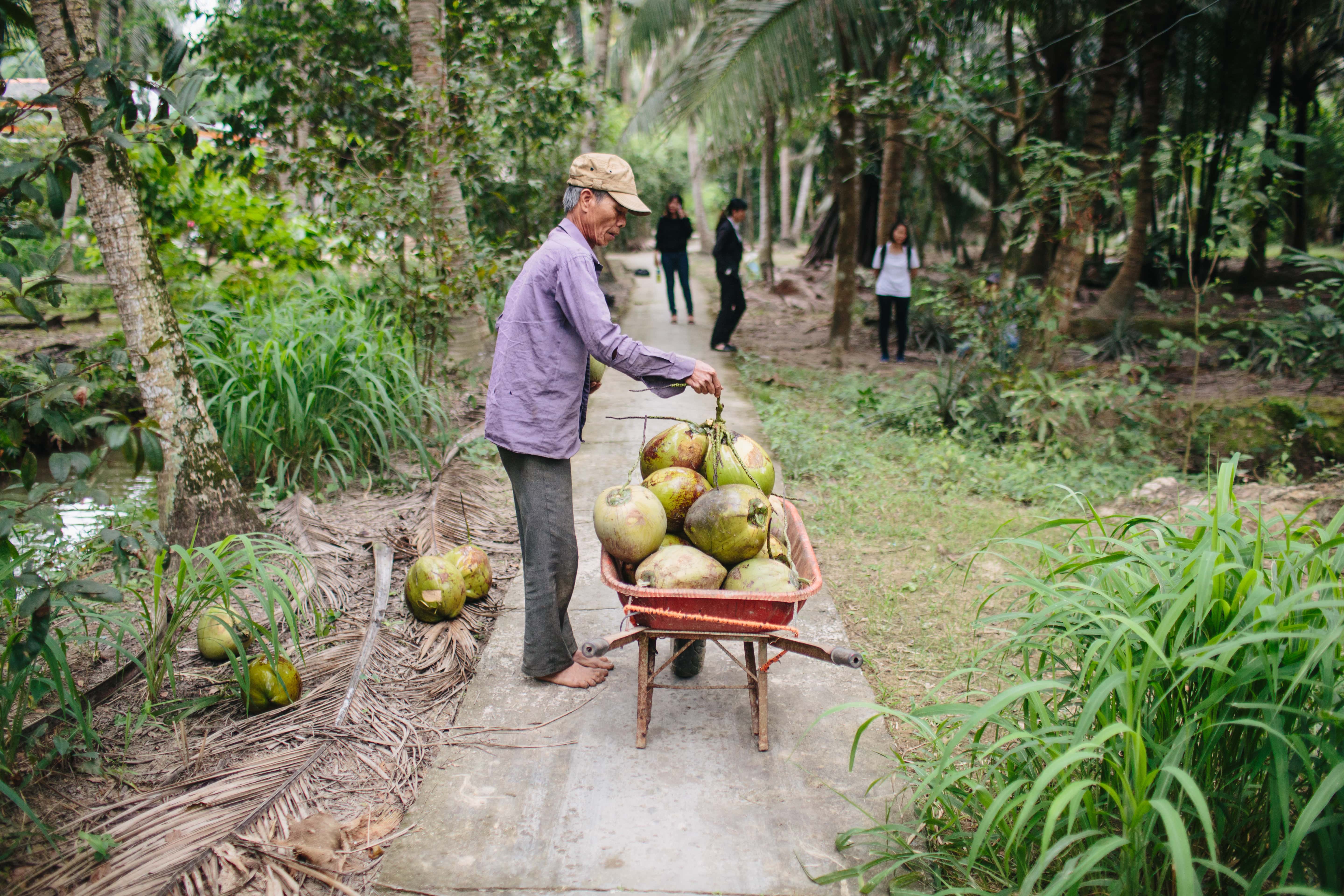 Learning from 4P case studies | SNV