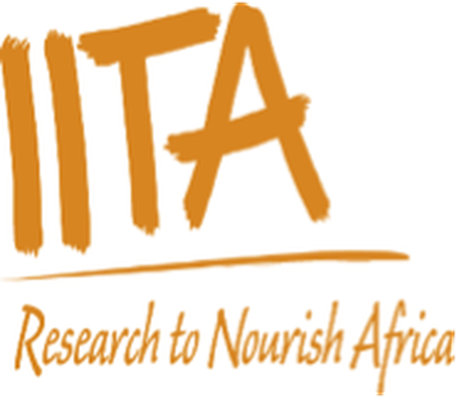 Cocoa Eco-Project | SNV