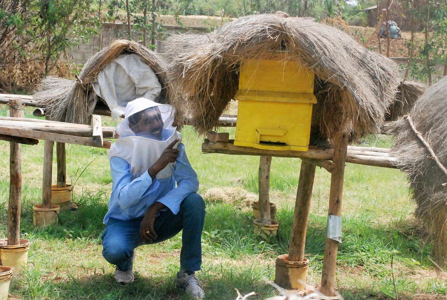 Apiculture Scale-up Programme for Income and Rural Employment | SNV