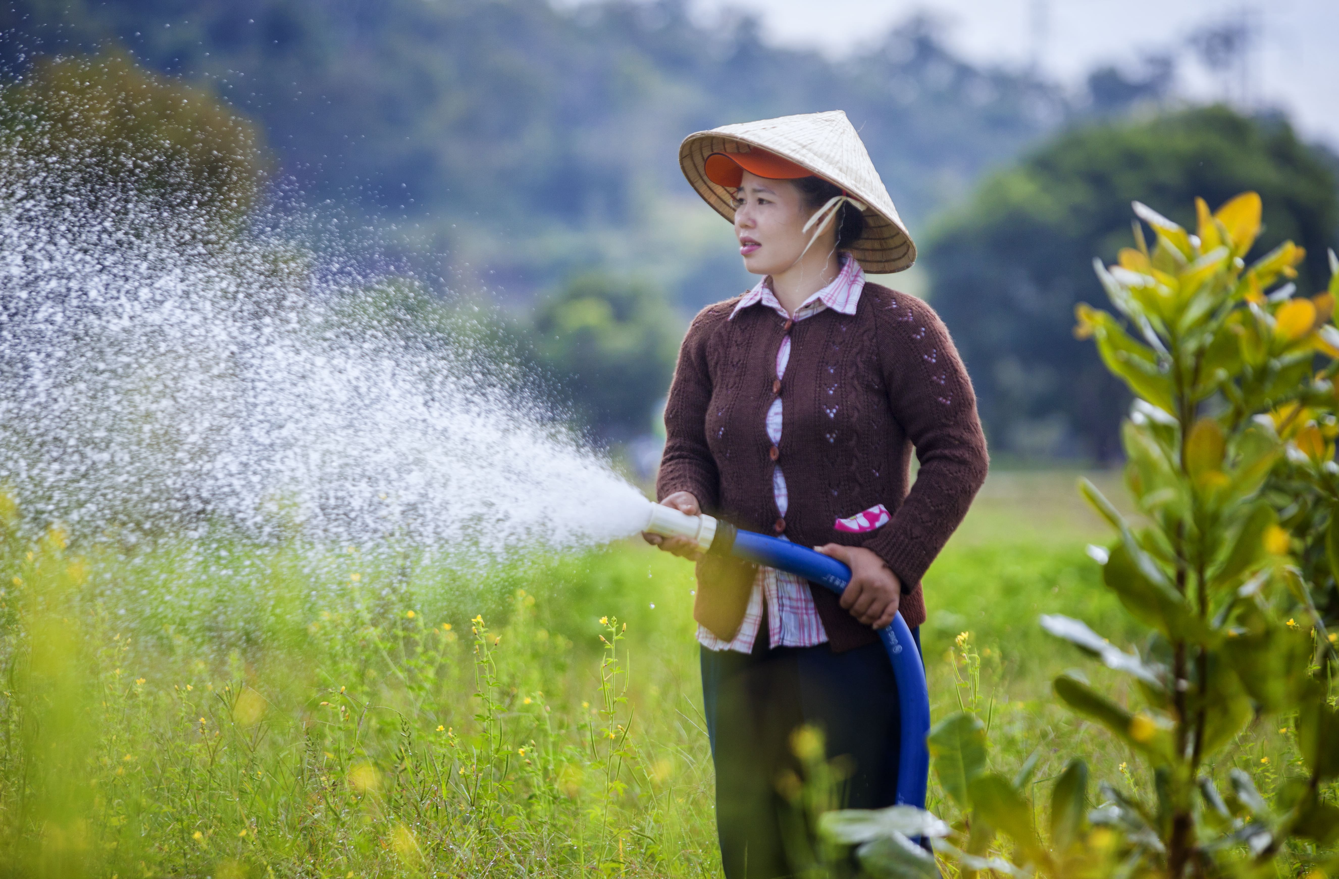 Enhancing Opportunities for Women’s Enterprises (EOWE) | SNV