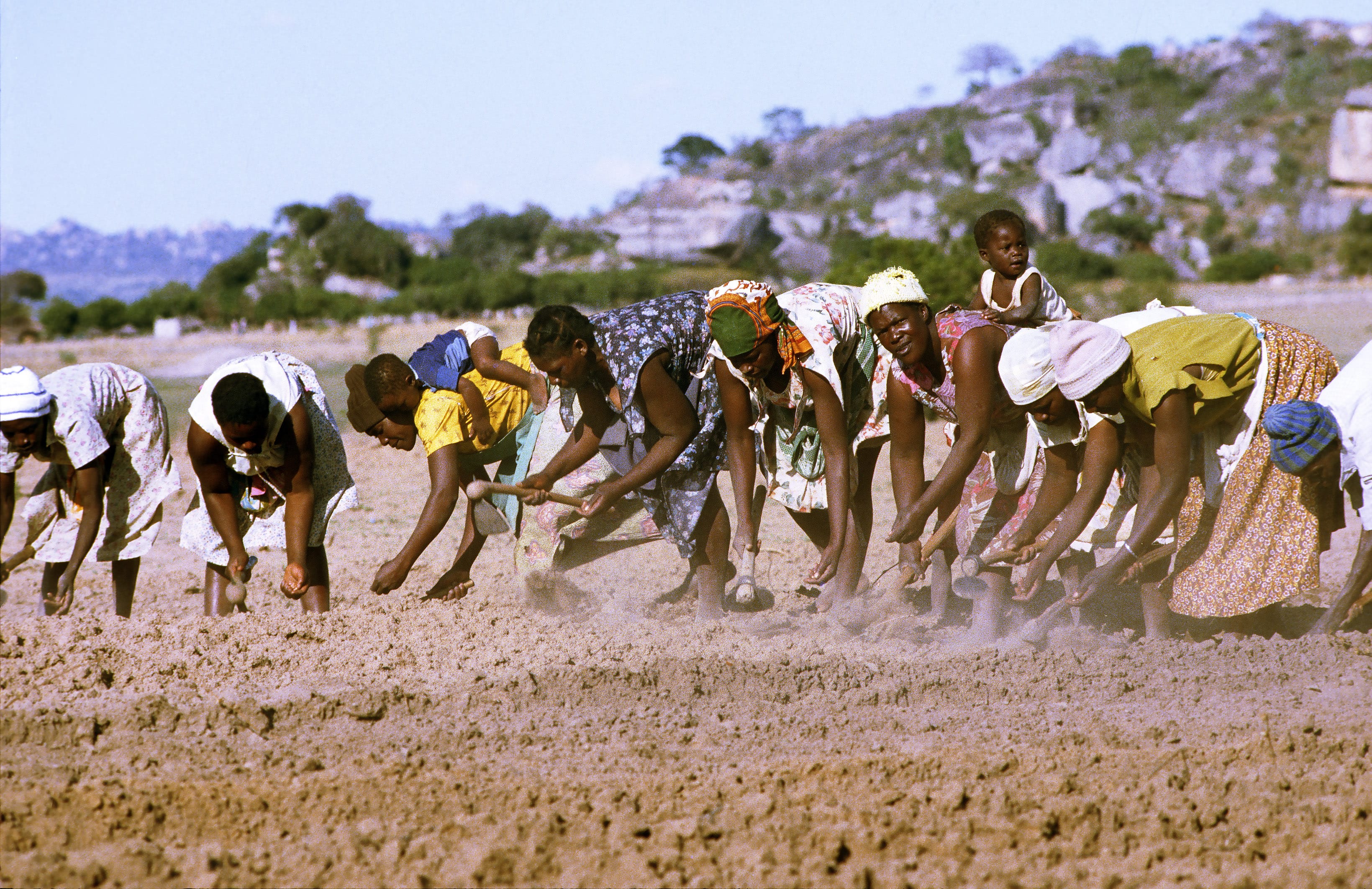 Integrated Food, Nutrition and Income Security Programme (FNI) | SNV