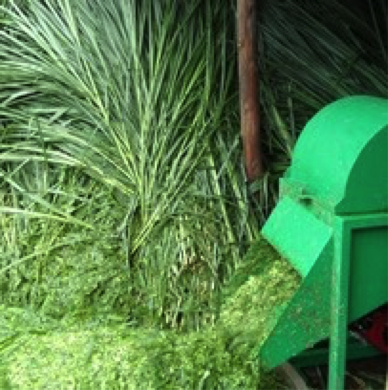 Smart Farmers, Safe Milk, Green Cows | SNV