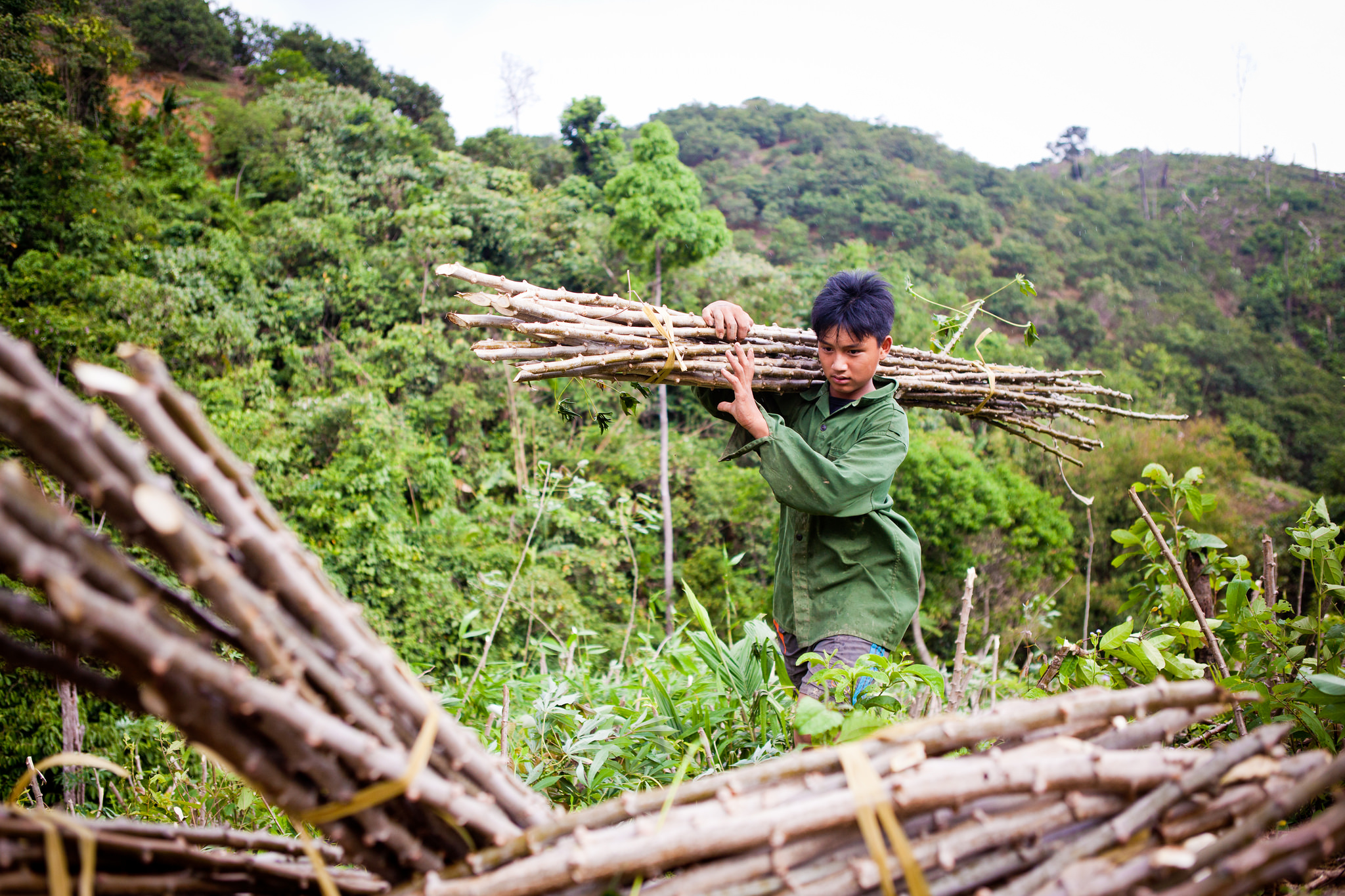 Exchange and Learning: Participatory Forest Monitoring in Vietnam | SNV