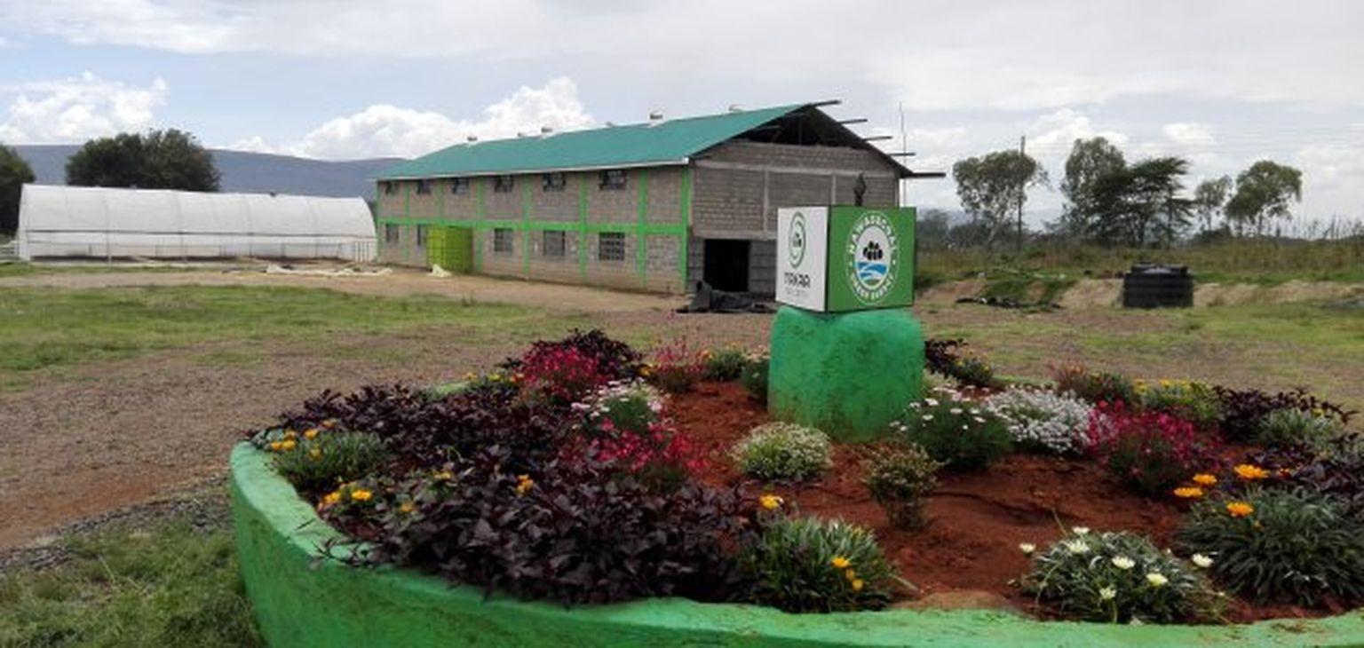 Faecal sludge reuse - fuel briquettes and charcoal production | SNV