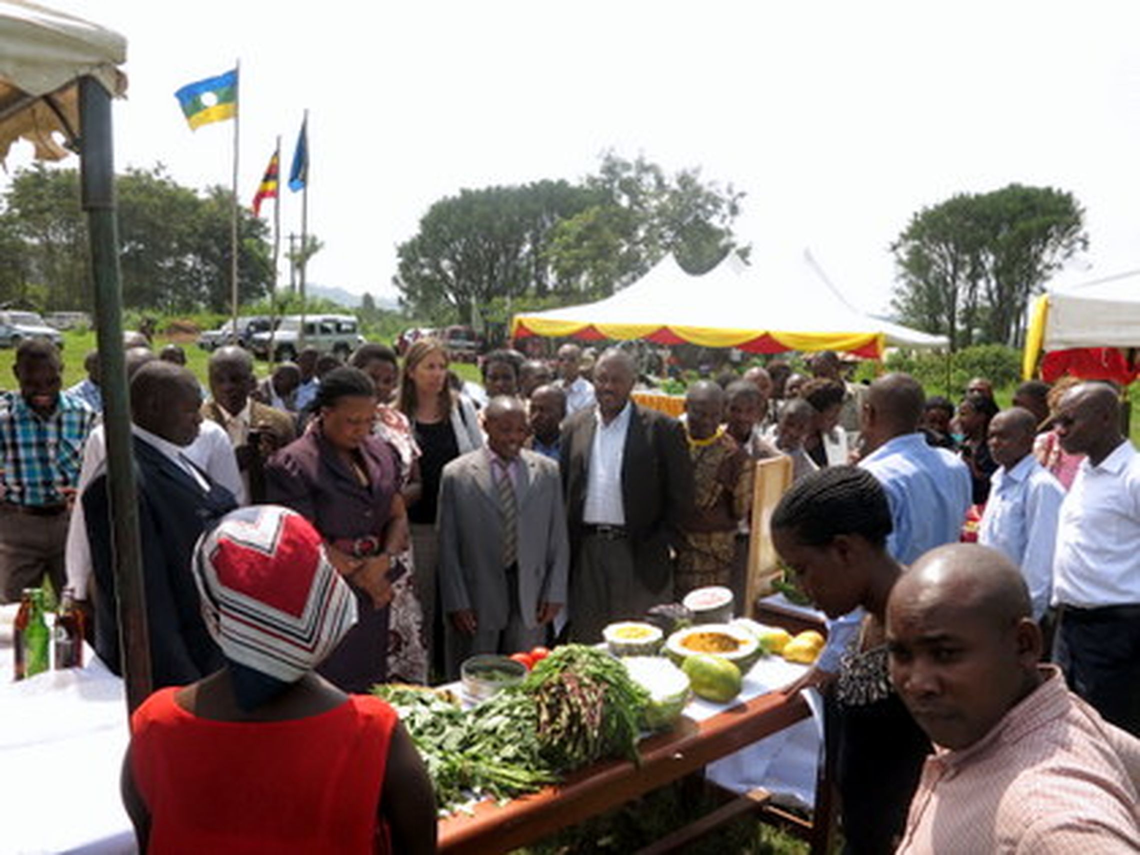 SNV launches a new project to improve household nutrition in Western ...