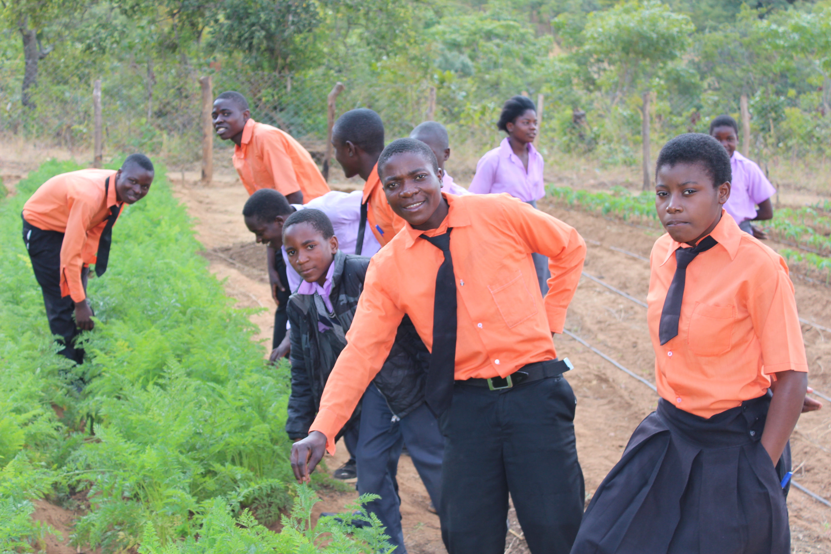 Model Schools Pilot Project | SNV