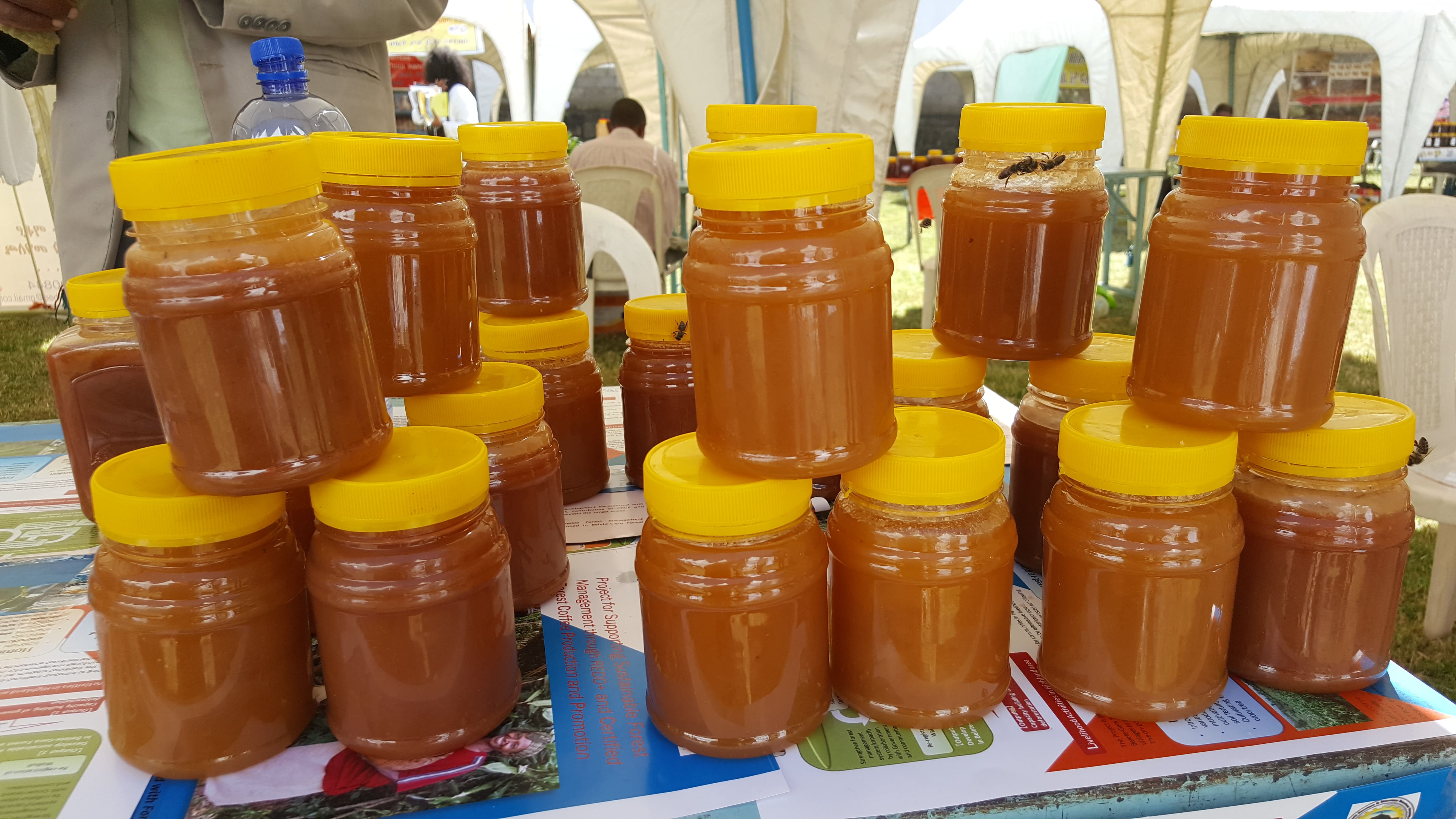 Apiculture project increased the income of smallholders | SNV