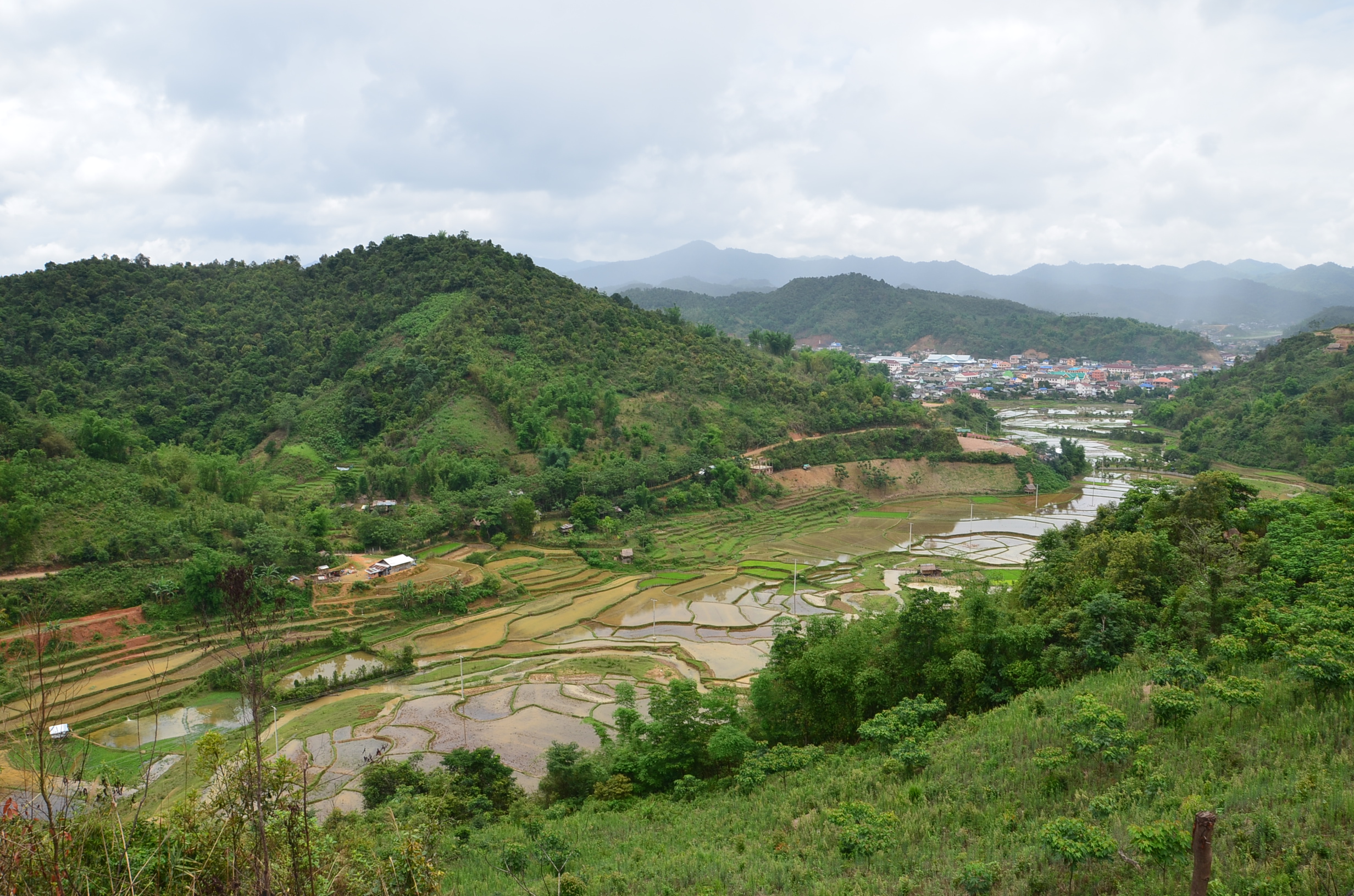 Participatory land use planning to support healthy forests | SNV