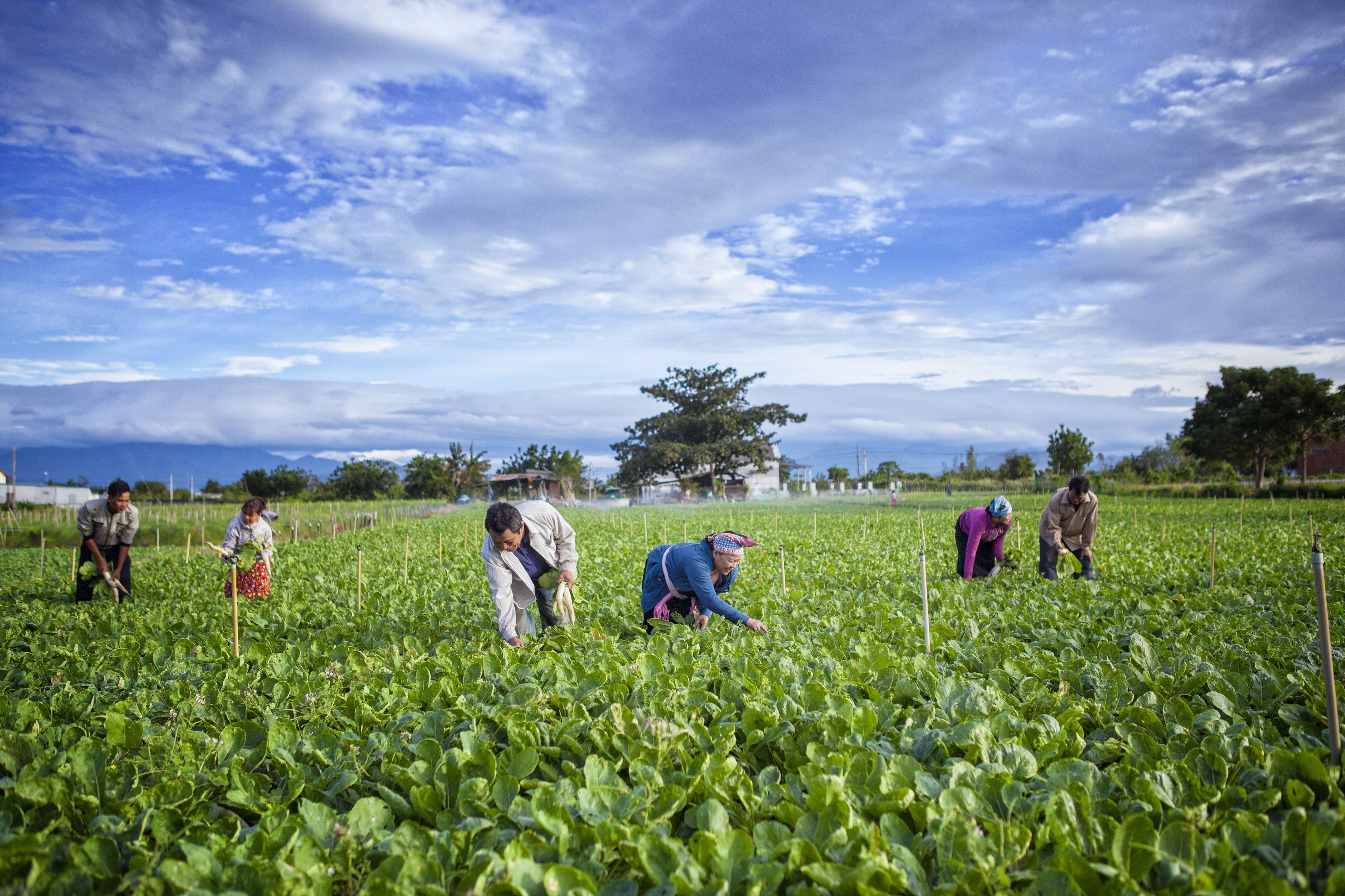 SNV 2030 Strategy | SNV