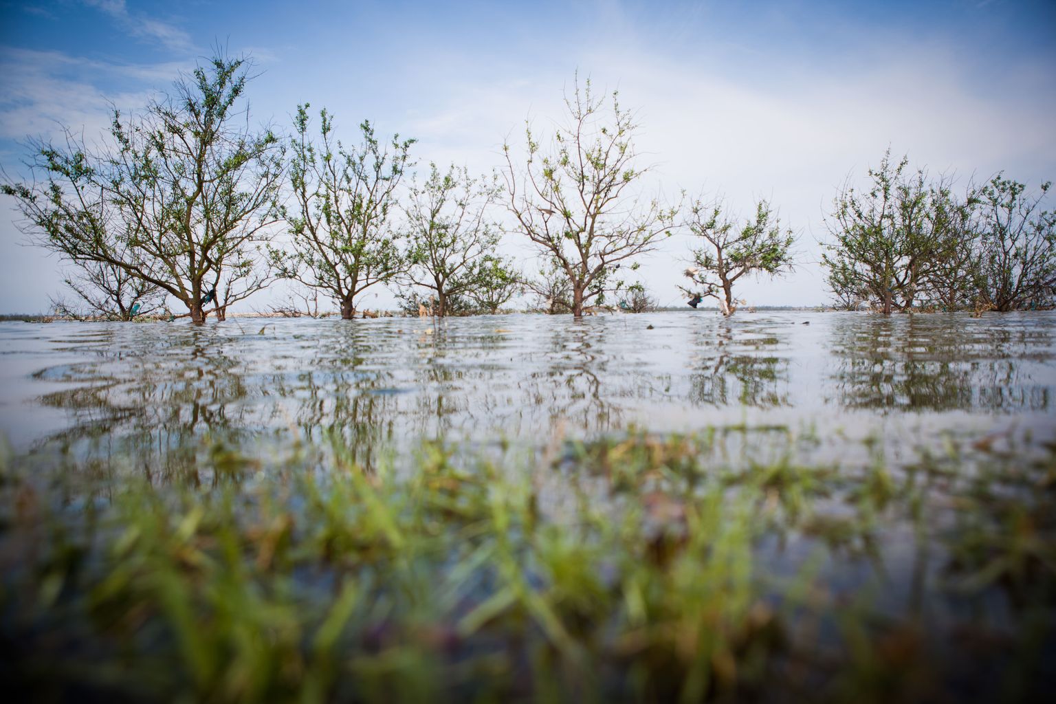 DFCD receives €40m from Dutch Ministry of Foreign Affairs for climate ...