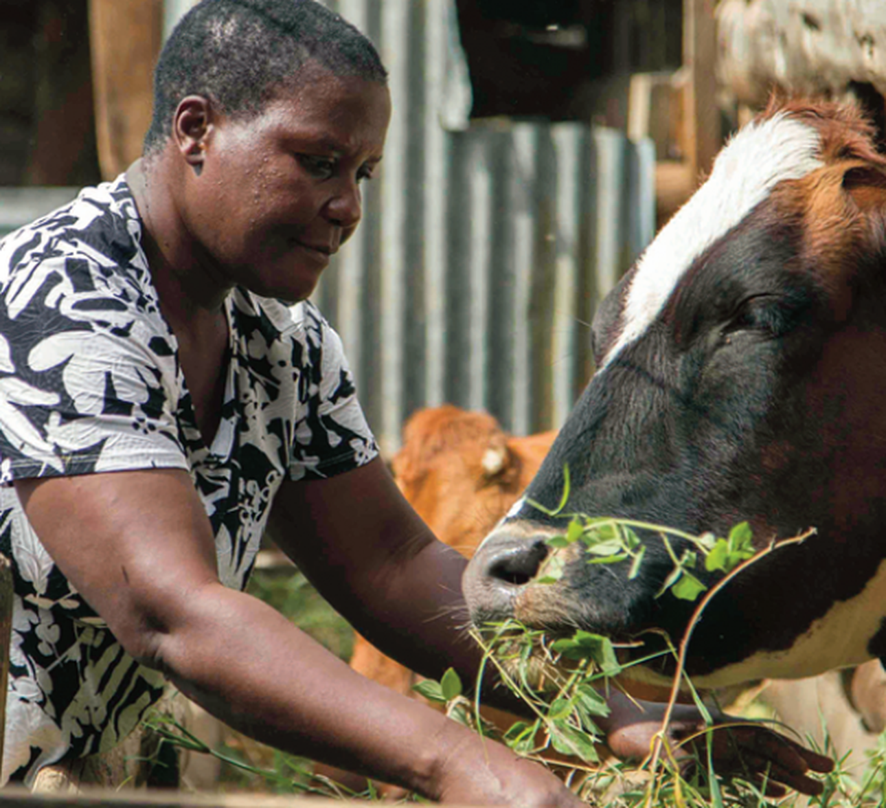 Integrated Dairy Farming for Income & Employment for Women and Youth ...