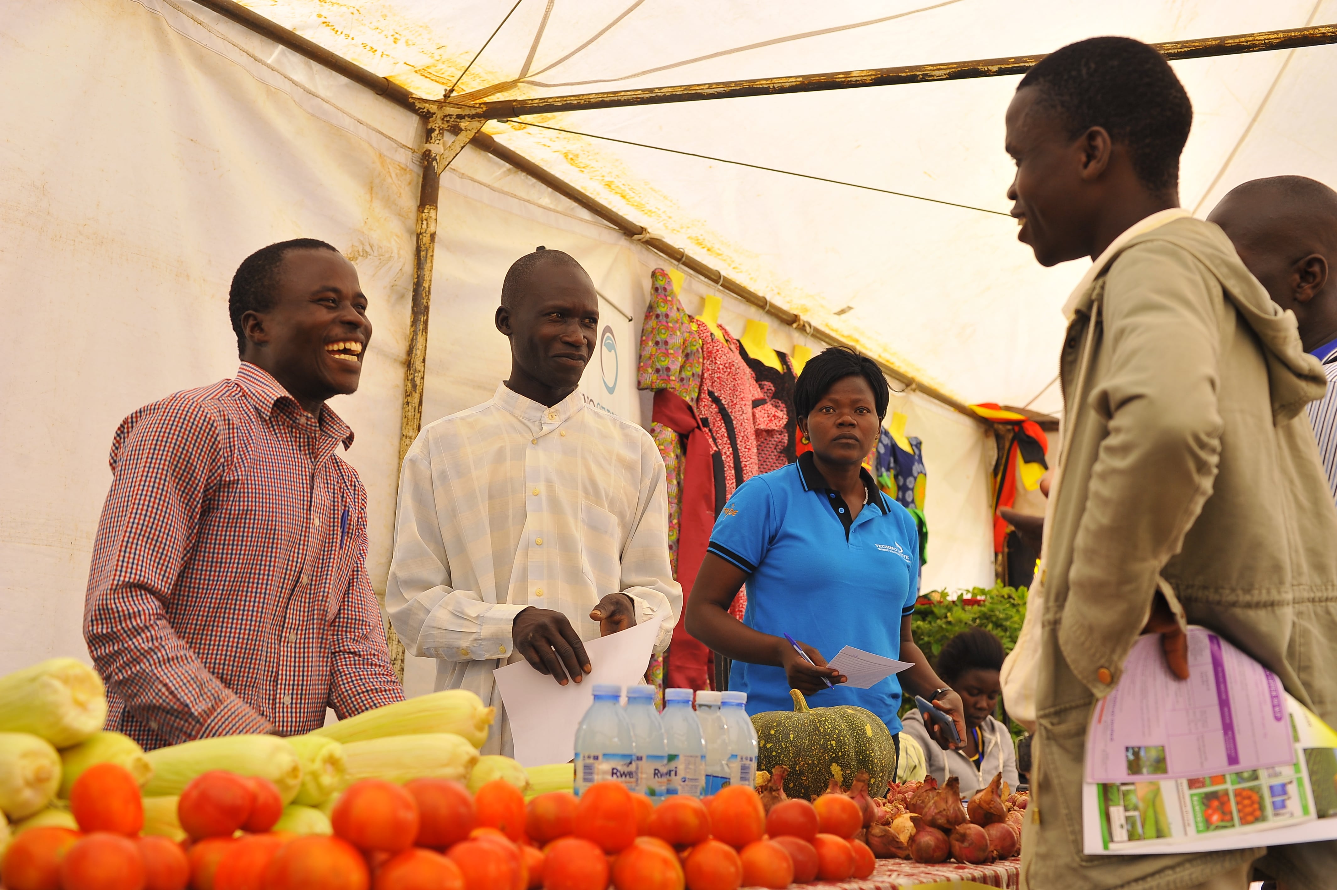 YES project creates jobs for 5,717 young people | SNV