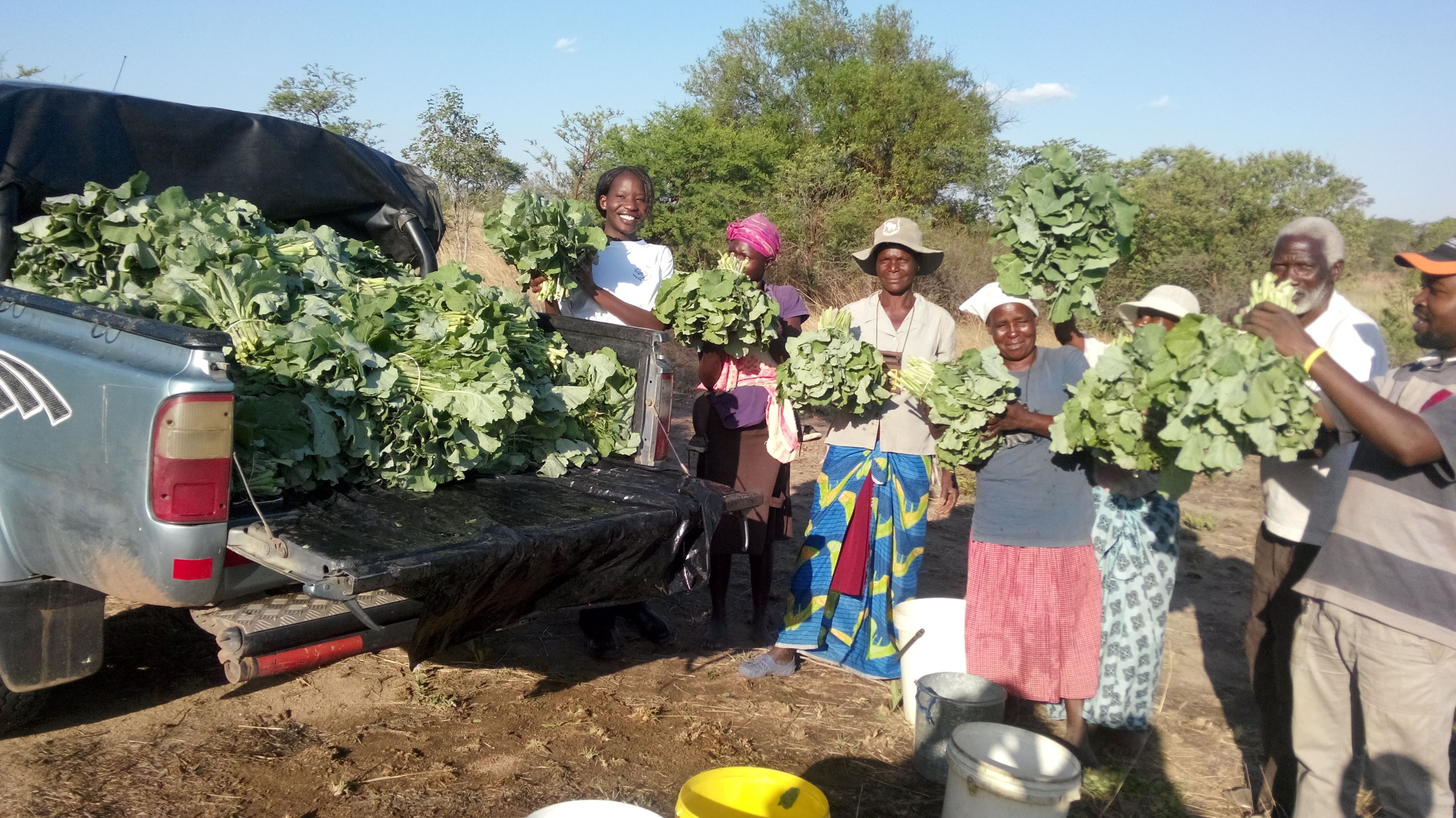 Rural Agriculture Revitalisation Programme - Commercialising Farming ...