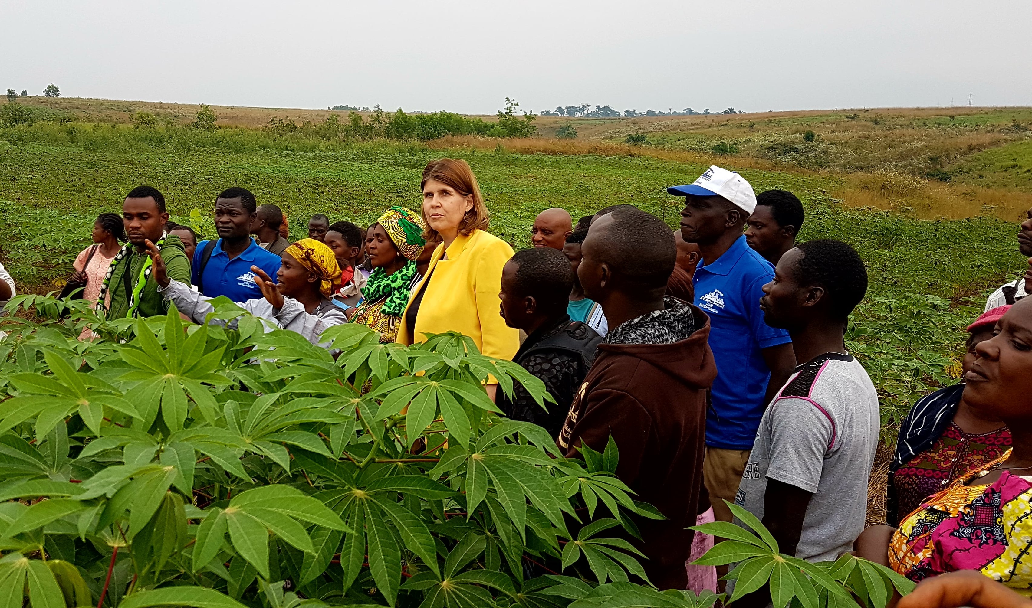 Boosting Agricultural Productivity in the DRC | SNV