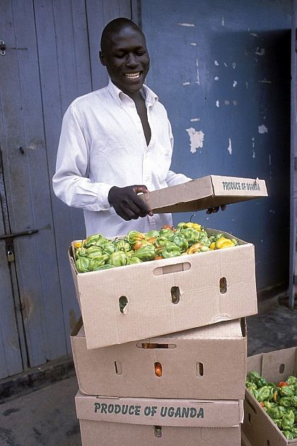 Top 10 things you need to know for inclusive value chains | SNV