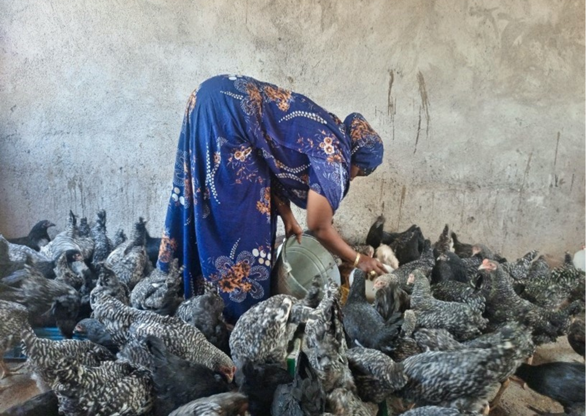 Women lead the way in poultry rearing amidst climate change | SNV
