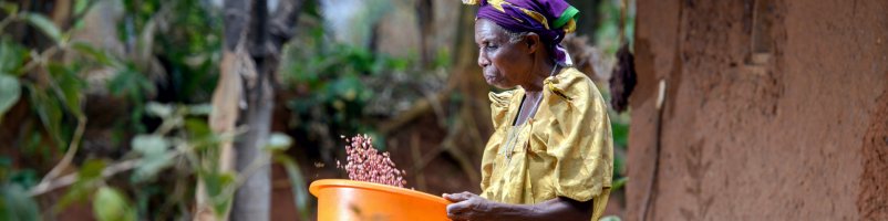 CRAFT project adds value to the agriculture sector in Tanzania | SNV